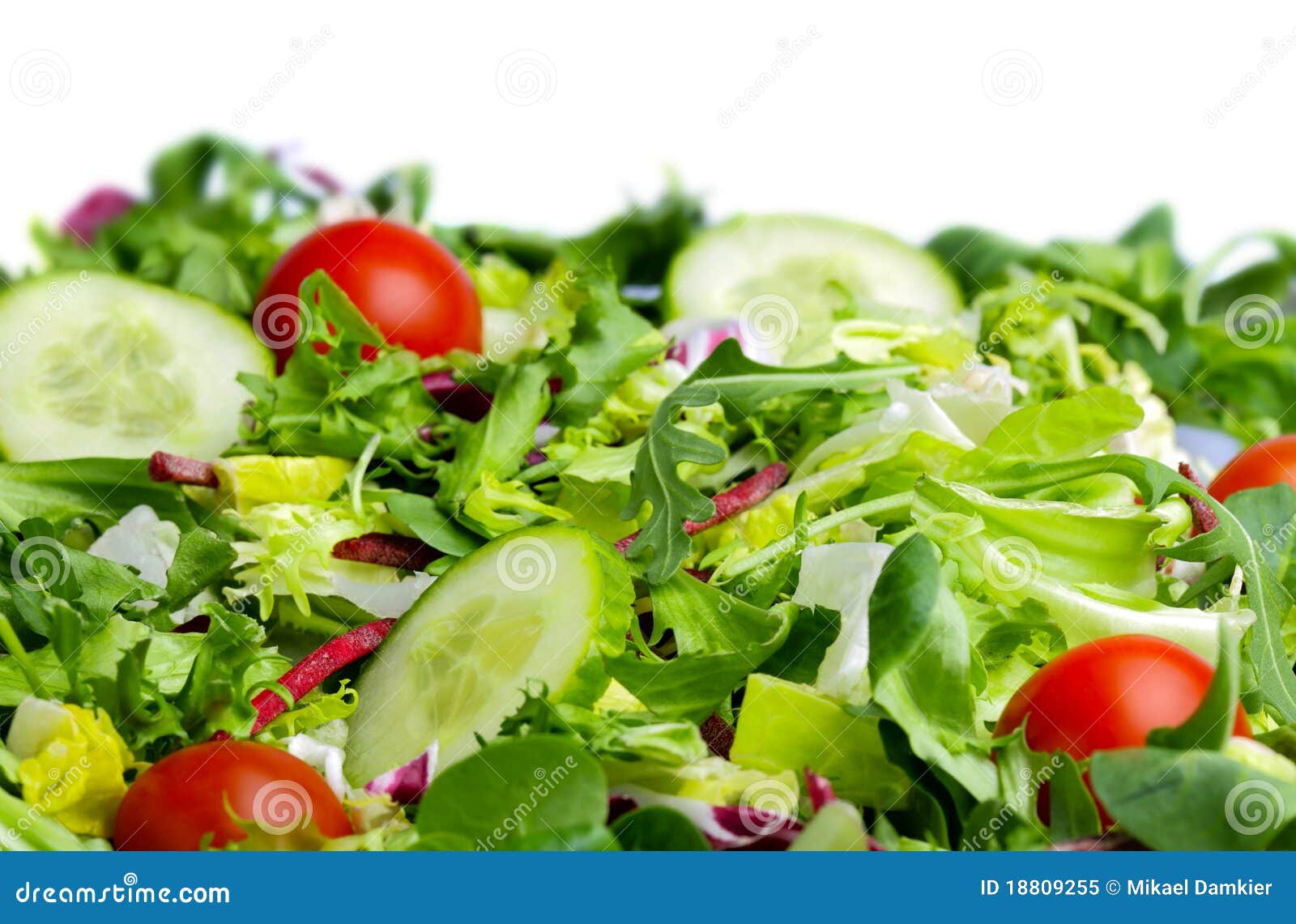 Salat stockbild. Bild von hintergrund, studio, frische - 18809255
