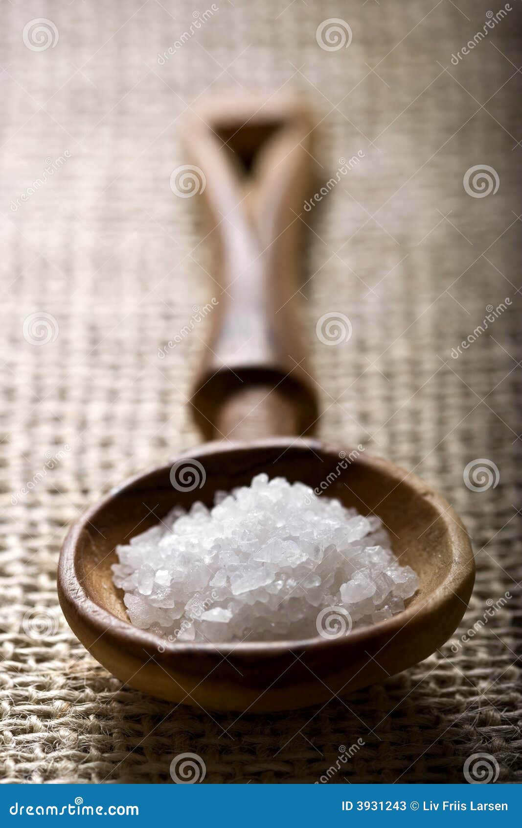 Sale del mare immagine stock. Immagine di alimento, macro - 3931243