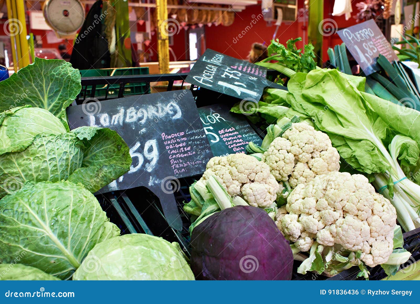 Sale of Different Types of Cabbage on Market Stock Photo - Image of ...