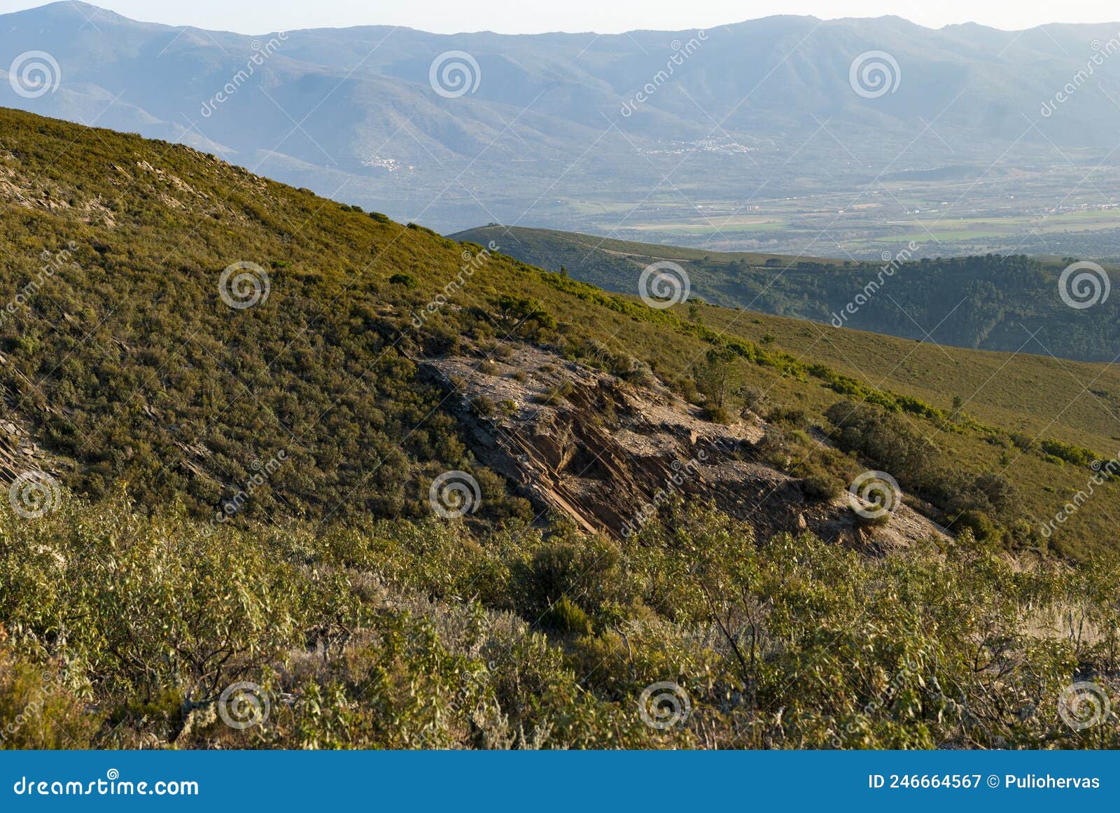 Sale of Slate in the Mountains, Slate for Extraction of Slate Stone ...