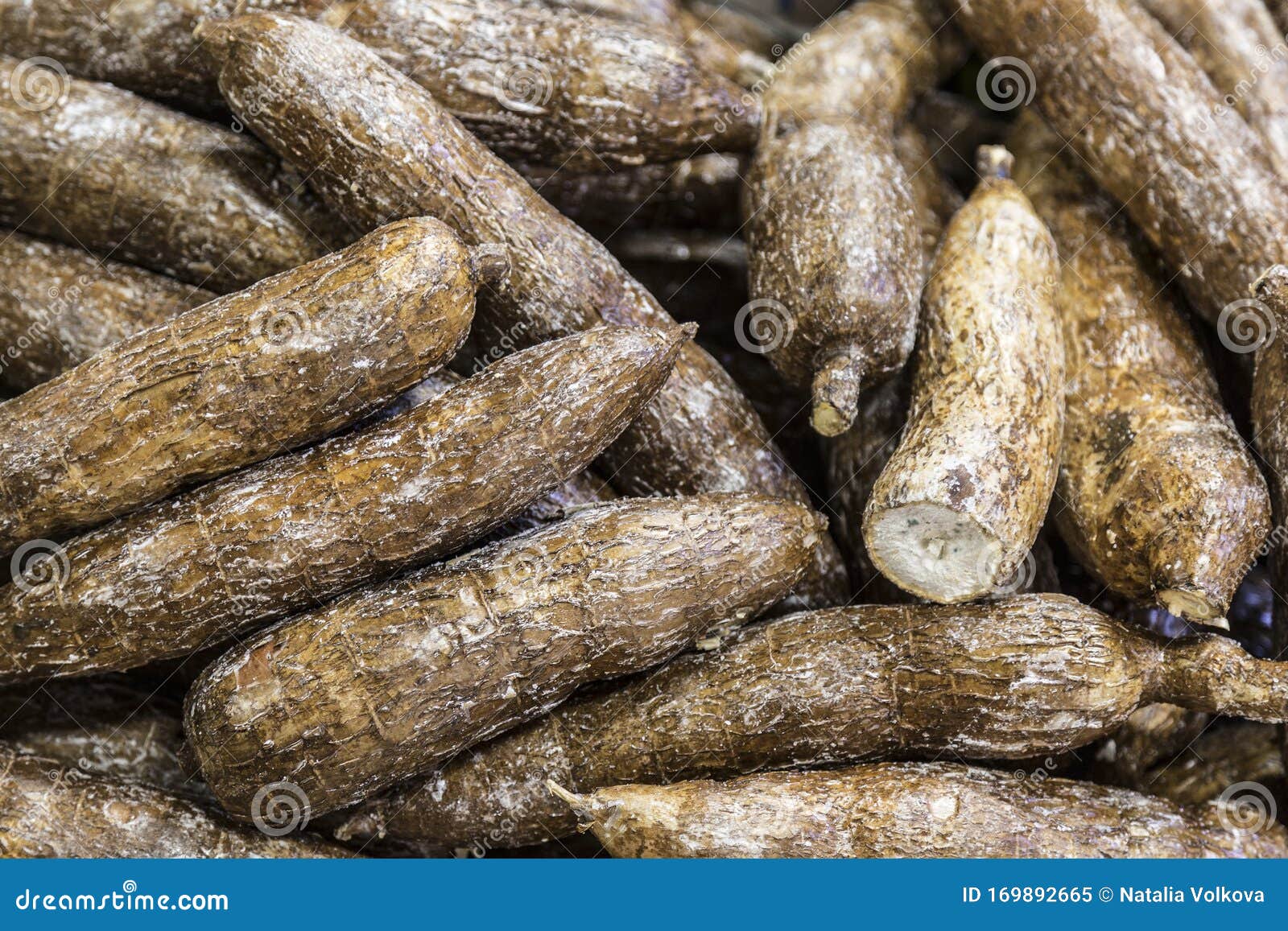 Sale of Yucca Root Crops on the Market Stock Image - Image of rica ...