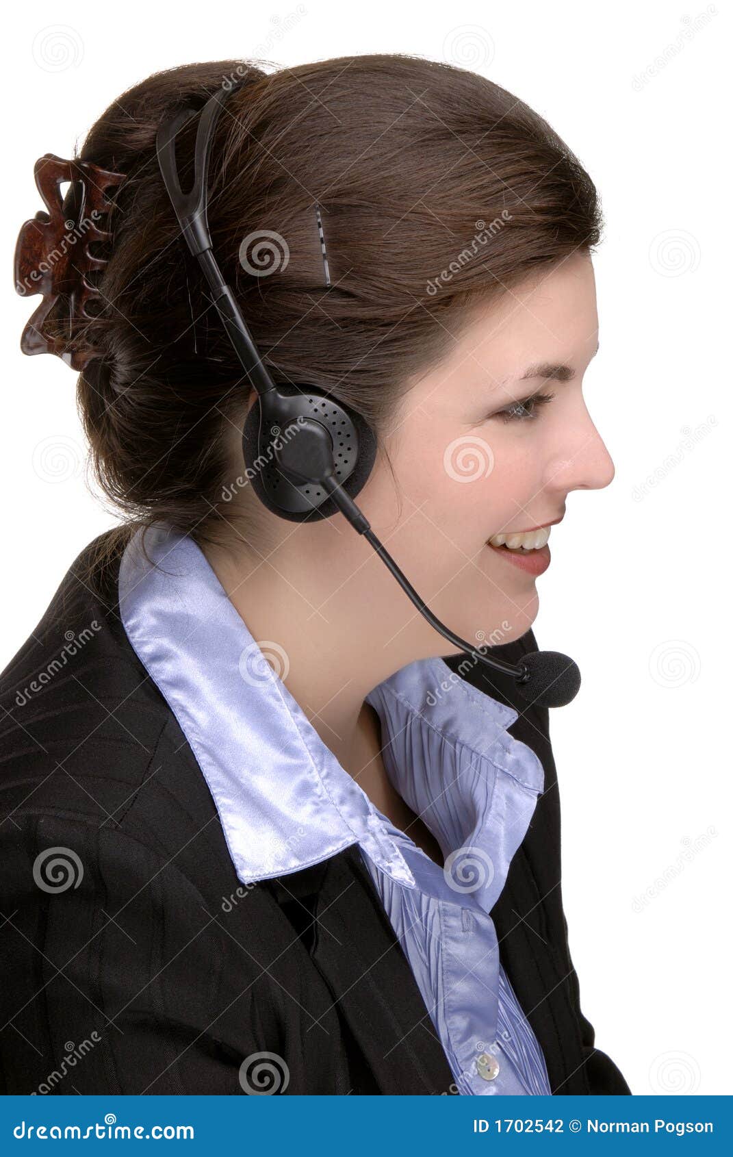 Sales Executive stock photo. Image of executive, communicate - 1702542