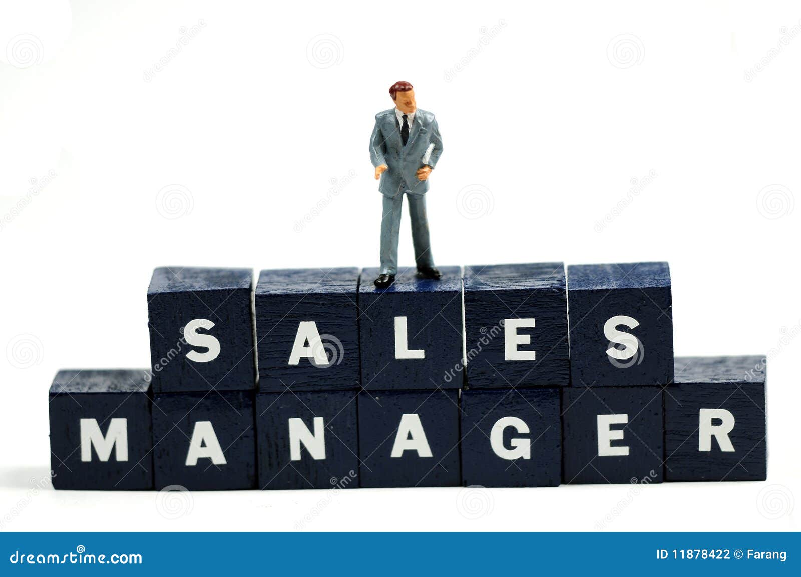 Sales manager stock photo. Image of dealing, account - 11878422