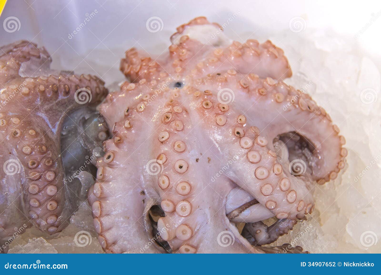 Sales of Octopus on the Market Stock Photo - Image of frozen, cold ...