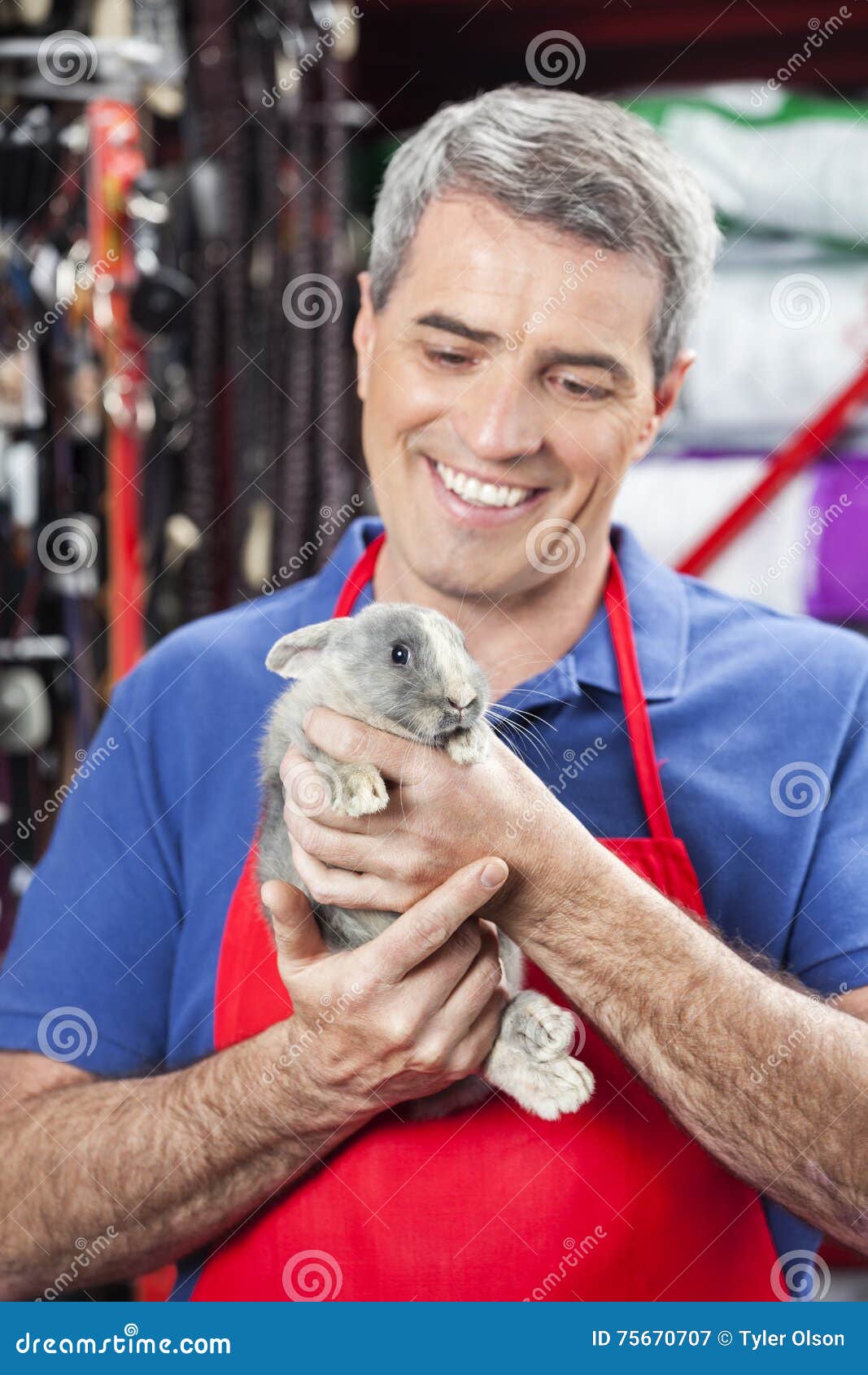 Salesman Looking at Rabbit in Pet Store Stock Image - Image of rodent ...