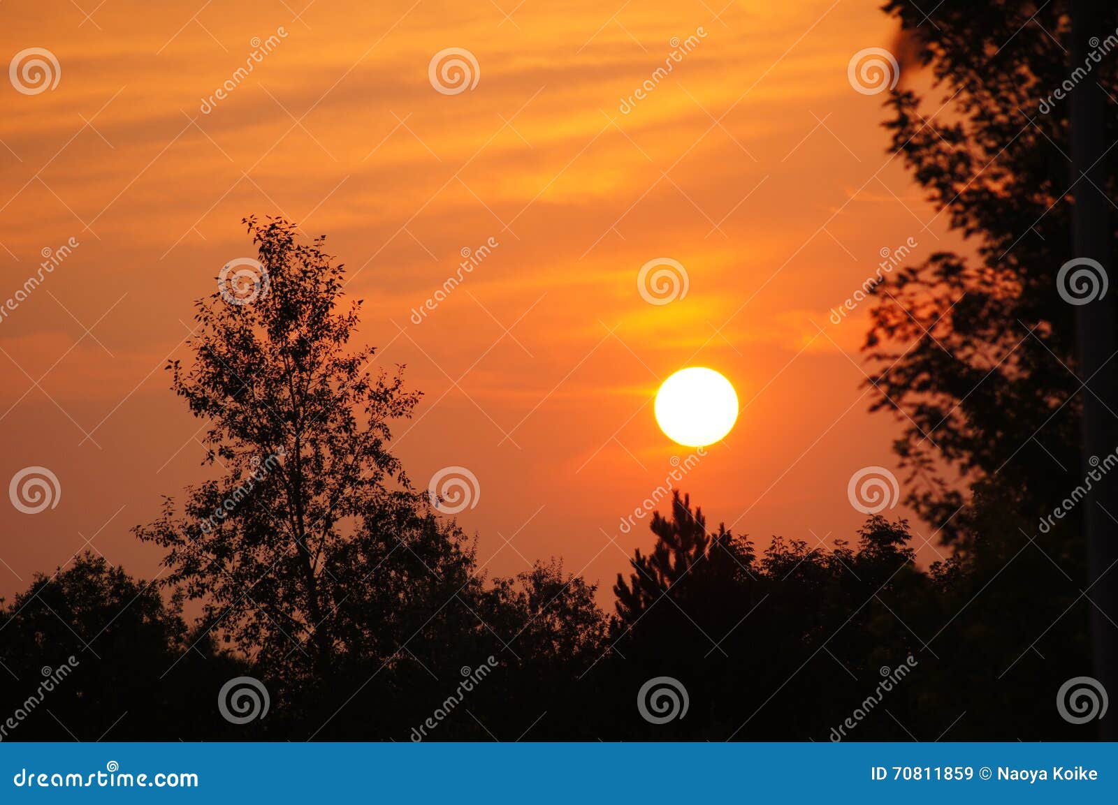 Salida Del Sol Ardiendo De Colorado Imagen de archivo - Imagen de ...
