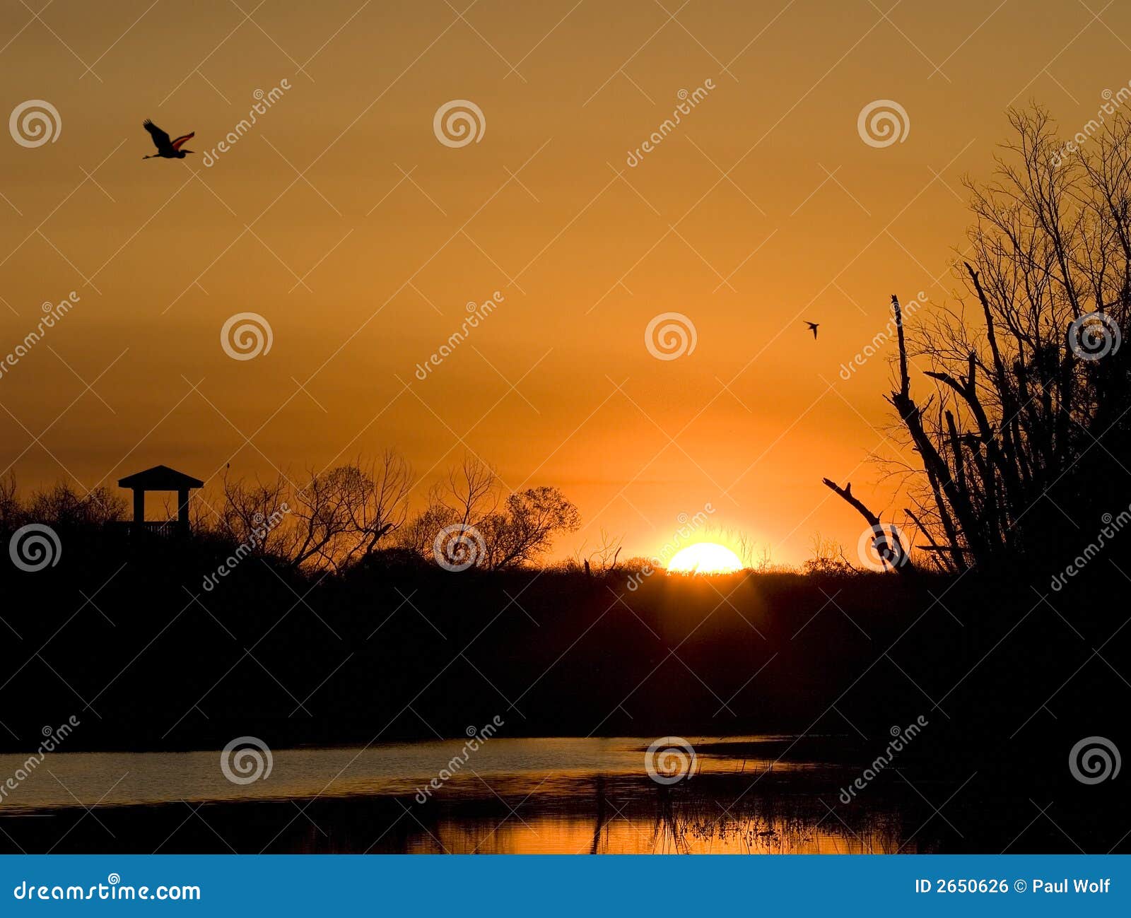 Salida Del Sol En La Curva De Brazos Foto de archivo - Imagen de cielo ...