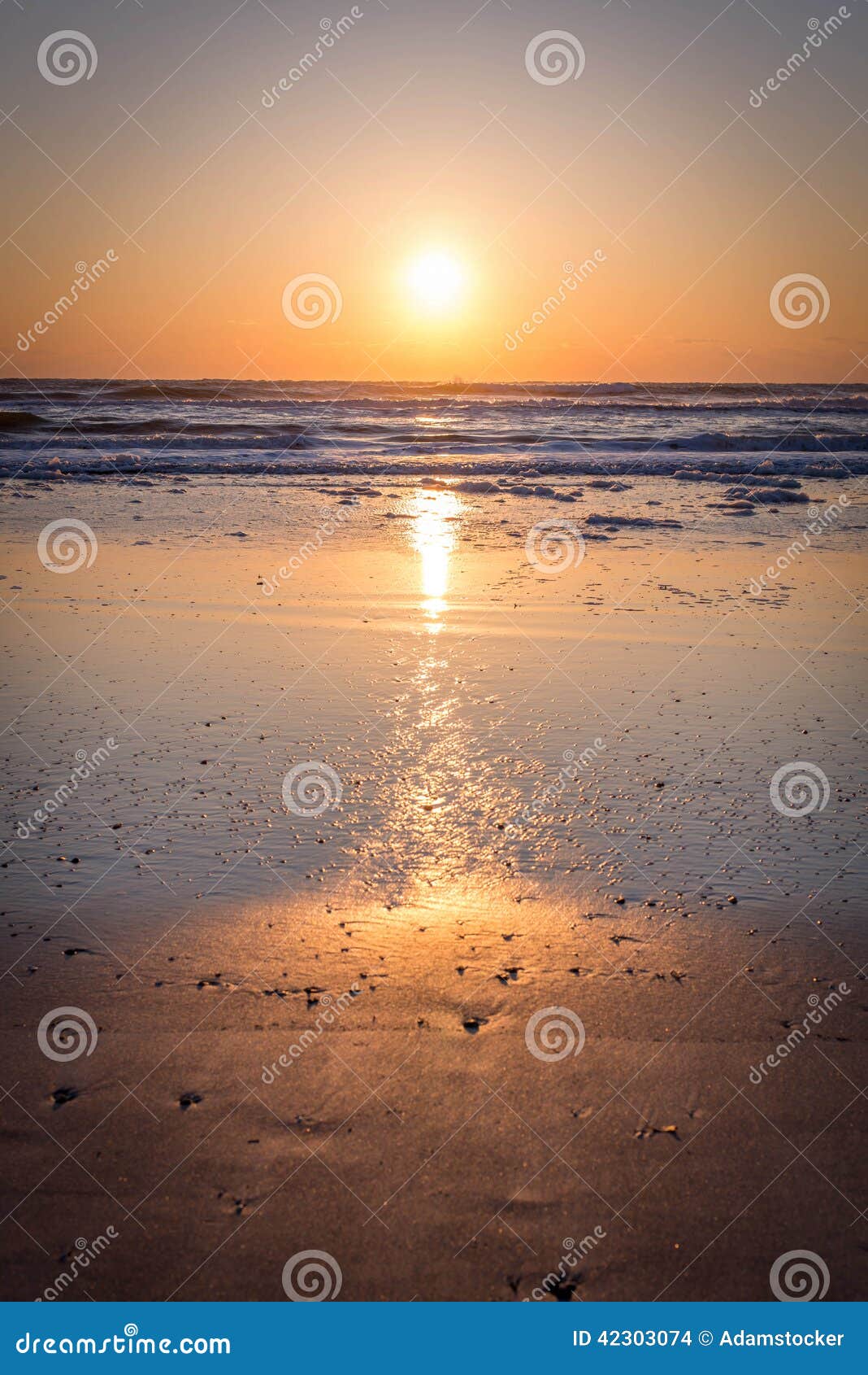 Salida Del Sol En La Florida Foto de archivo - Imagen de agua, asoleado ...