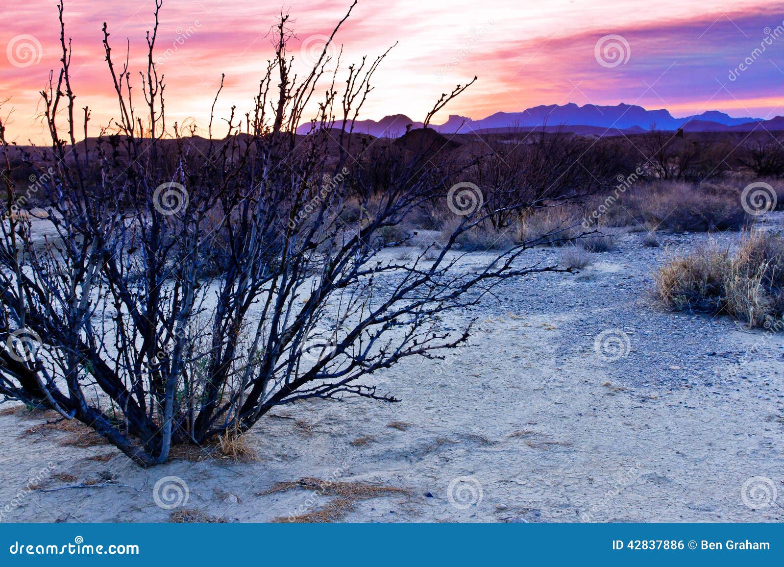 Salida Del Sol Grande De La Curva Foto de archivo - Imagen de tejas ...