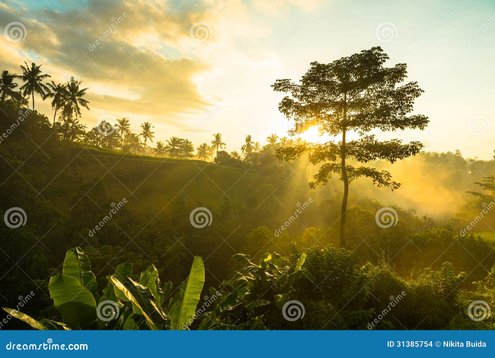 Salida del sol sobre selva foto de archivo. Imagen de paisaje - 31385754