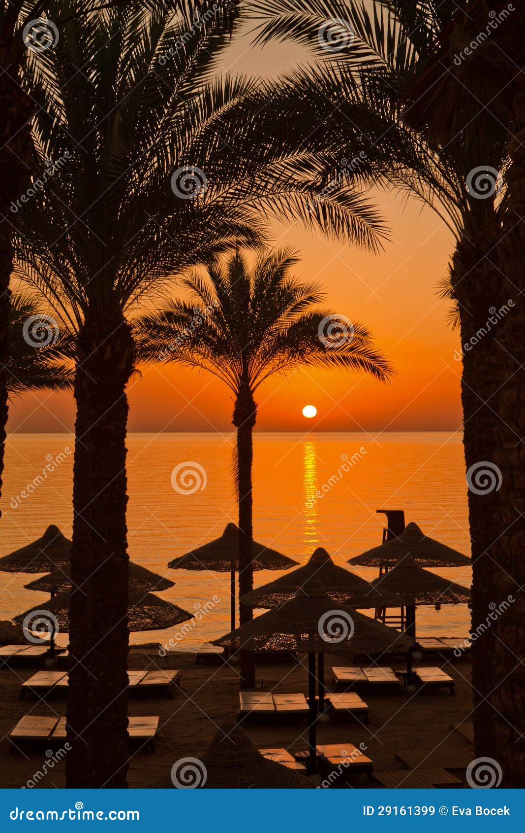 Salida Del Sol Tropical De La Playa Imagen de archivo - Imagen de coco ...