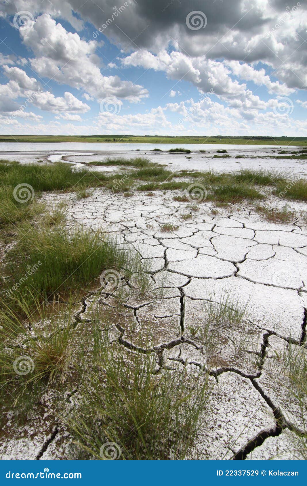 Salination do lago imagem de stock. Imagem de plantas - 22337529