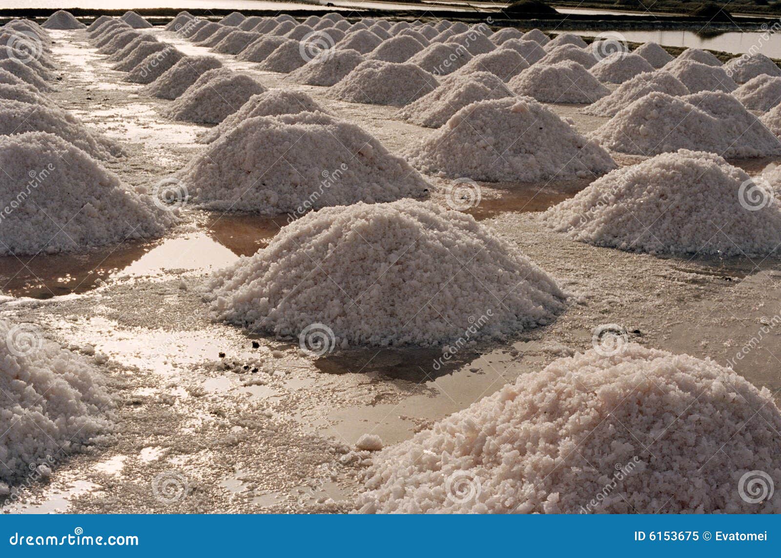 Saline stock image. Image of tradition, salt, work, sicily - 6153675