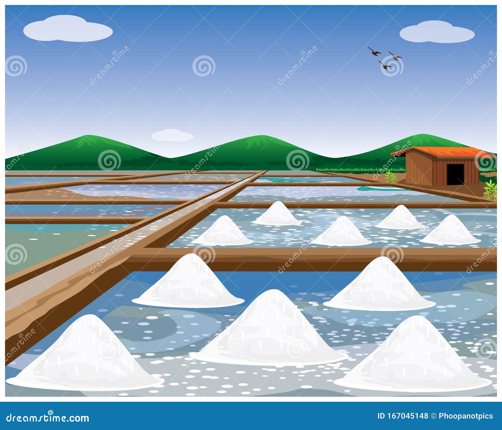 Saline field vector design stock vector. Illustration of vector - 167045148