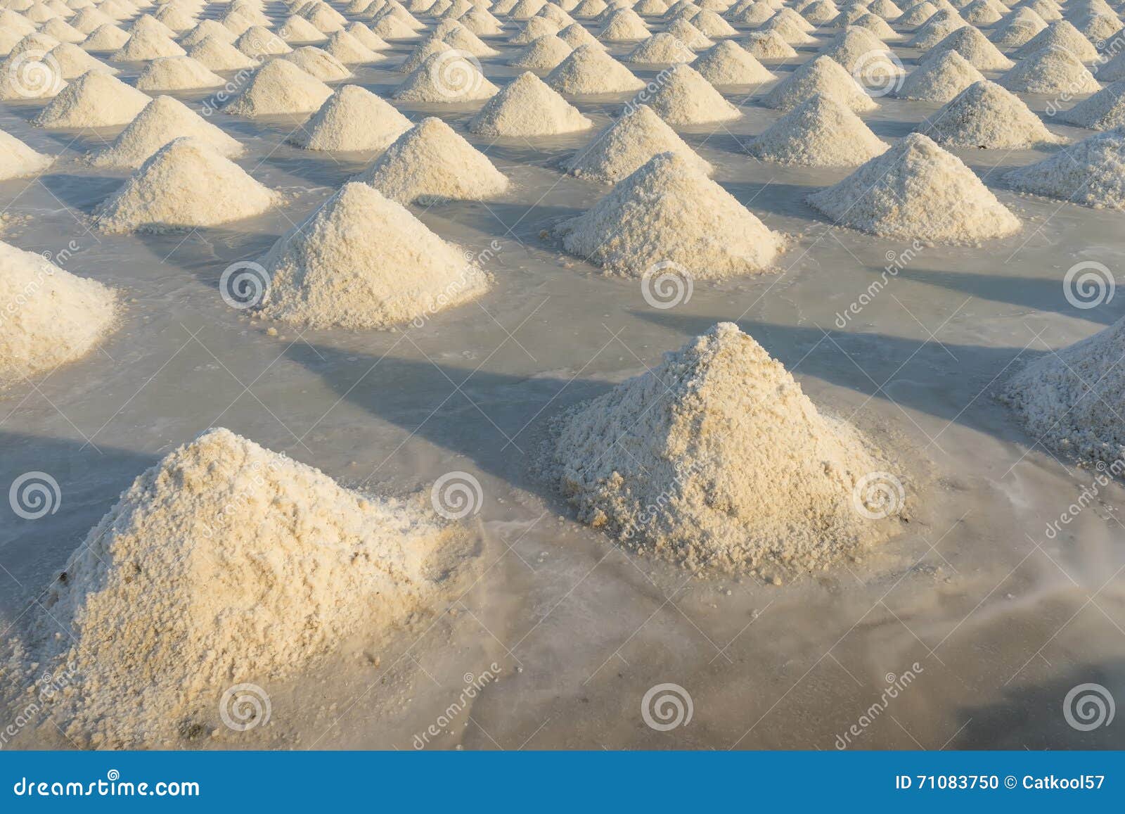 Saline stock photo. Image of coast, shape, saline, nature - 71083750