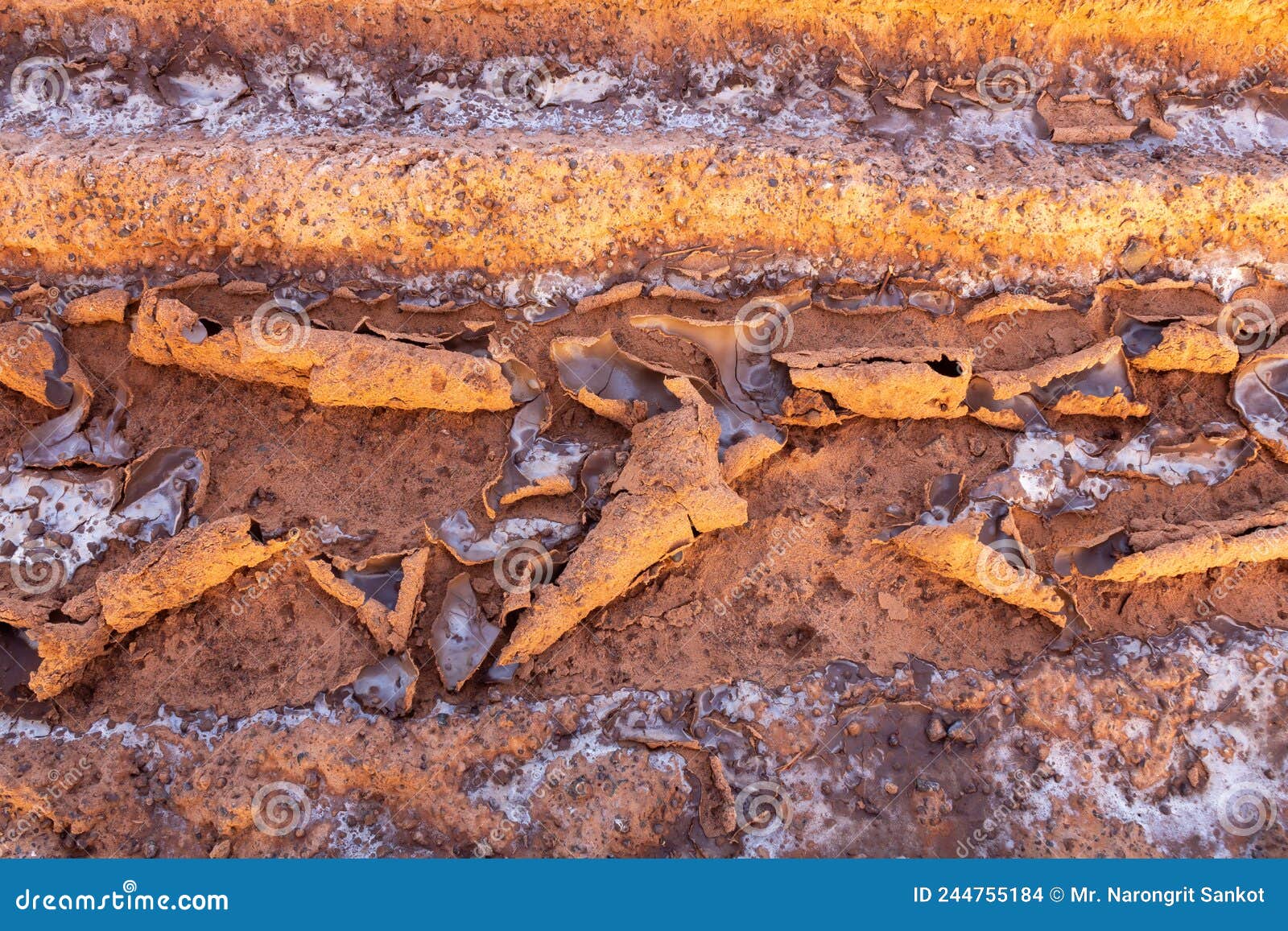 Saline soil stock photo. Image of field, sand, environment - 244755184