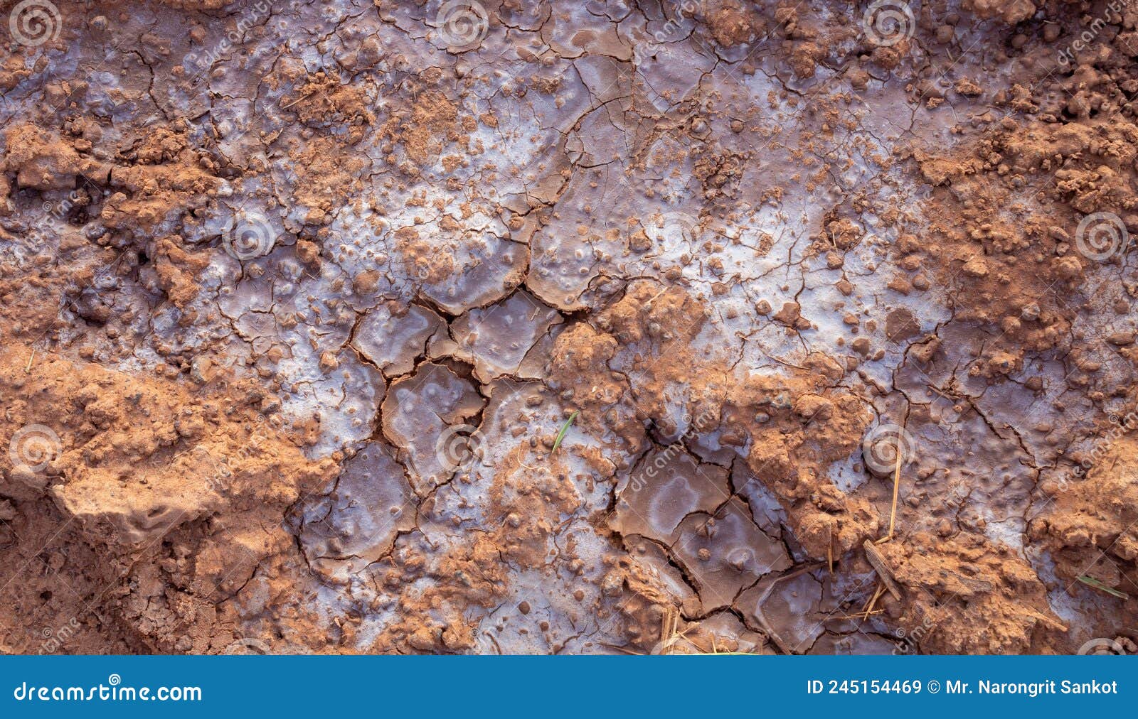 Saline soil stock image. Image of dirt, rough, closeup - 245154469