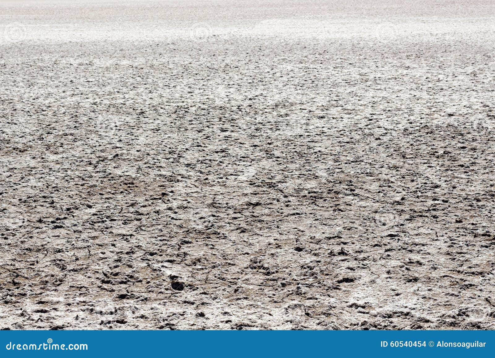 Saline Soil of a Fully Dried Lagoon Stock Photo - Image of landscape ...