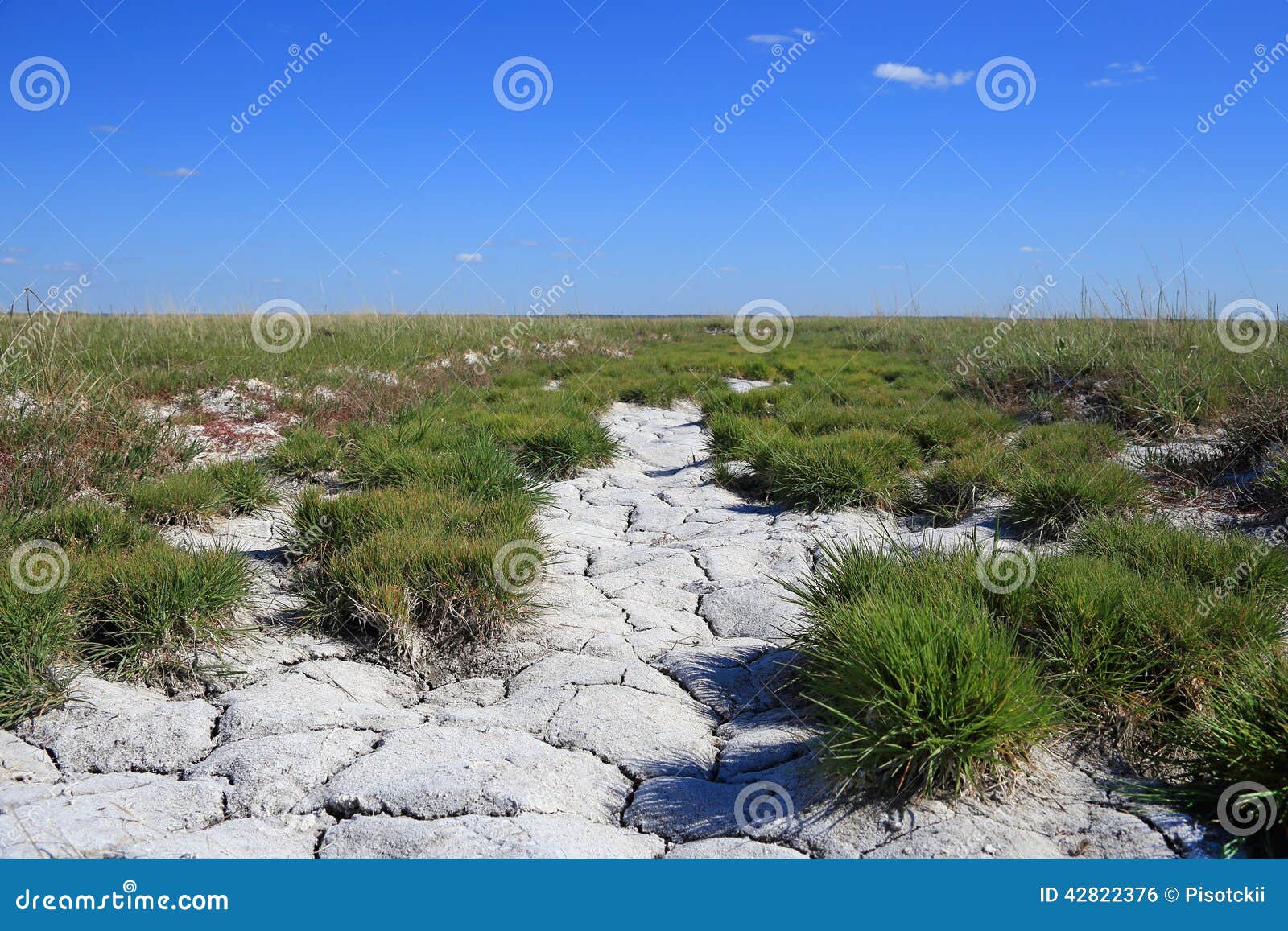 Saline soil stock photo. Image of drought, saline, summer - 42822376