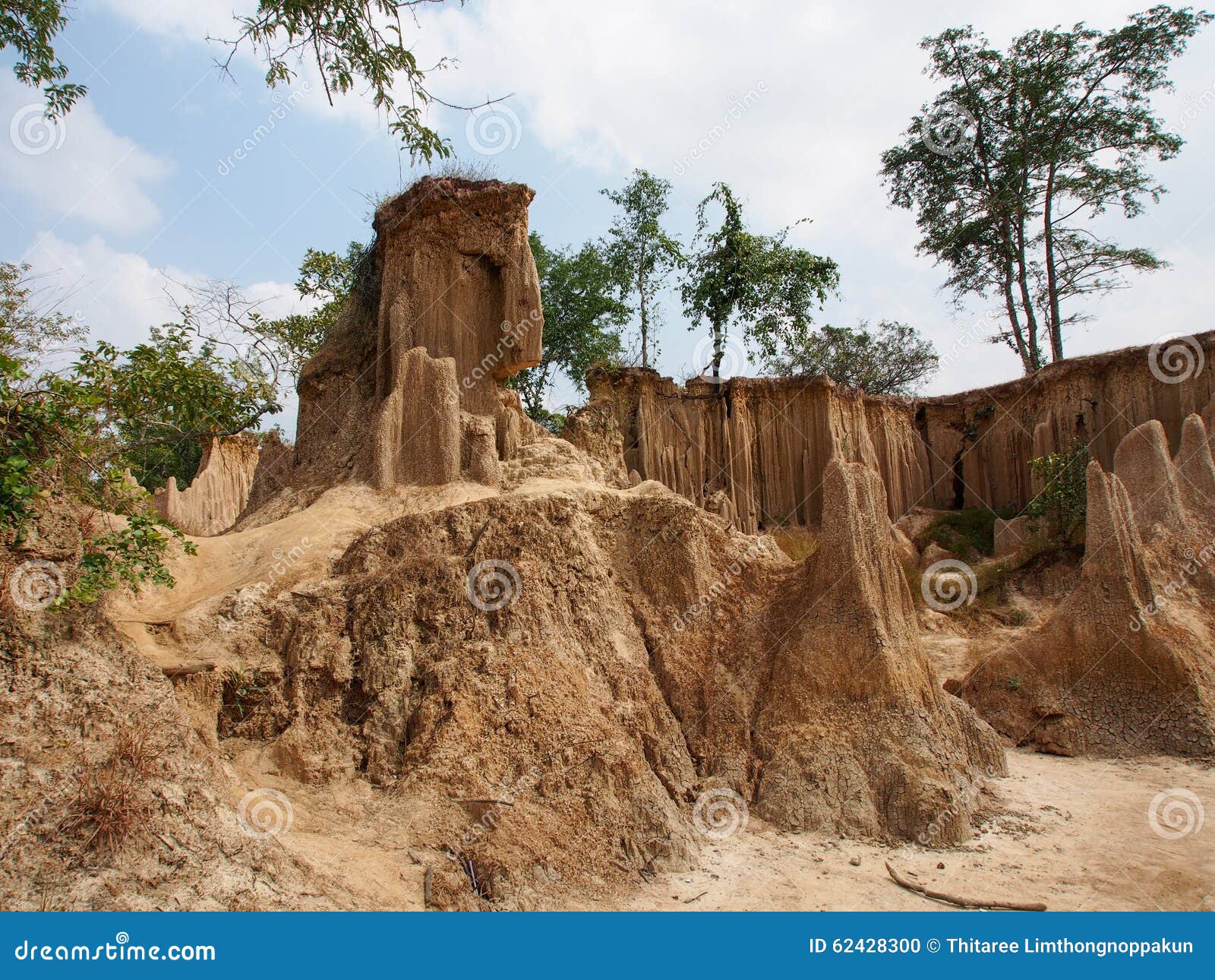 Salinized Soil Land Subside Stock Photo - Image of land, earth: 62428300