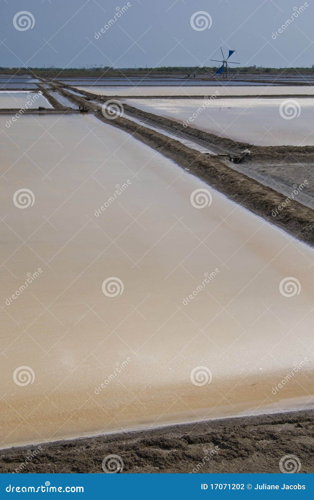 Salino foto de stock. Imagem de salgado, pilha, grade - 17071202