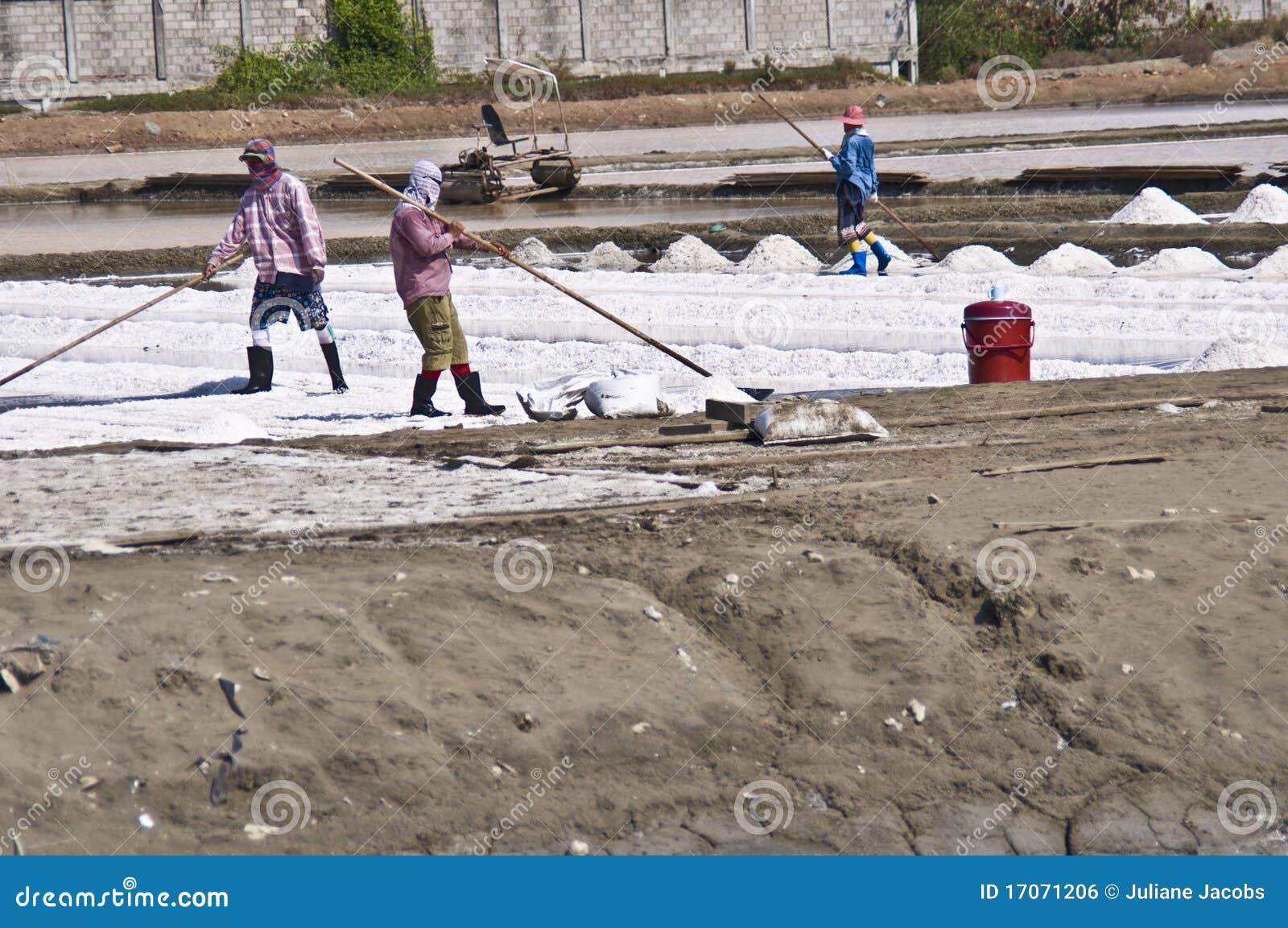 Salino foto de stock. Imagem de salina, povos, piscina - 17071206