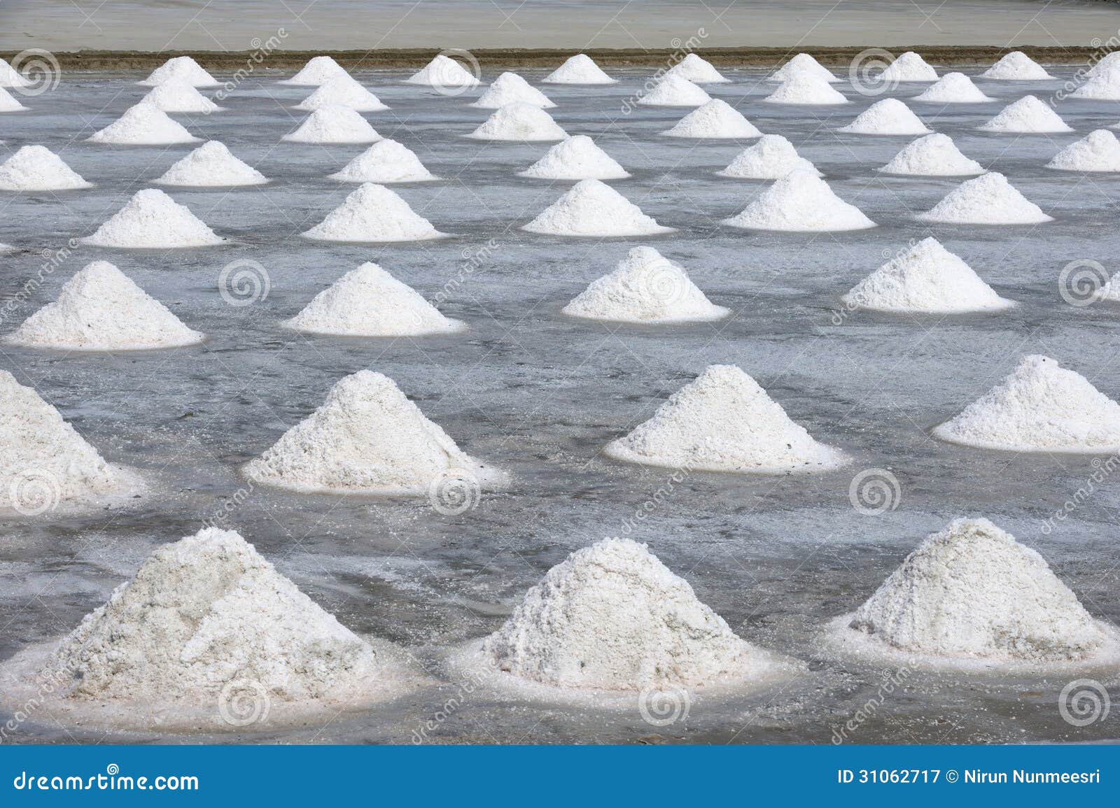 Salino imagen de archivo. Imagen de ingrediente, tradicional - 31062717