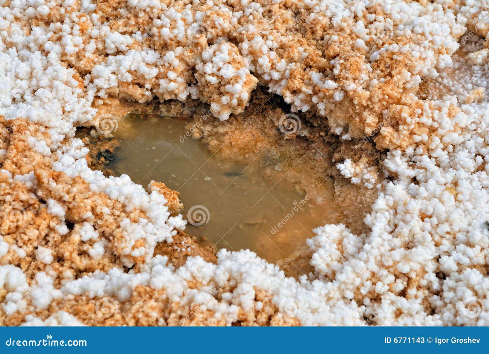 Salino immagine stock. Immagine di salino, terra, incrinato - 6771143