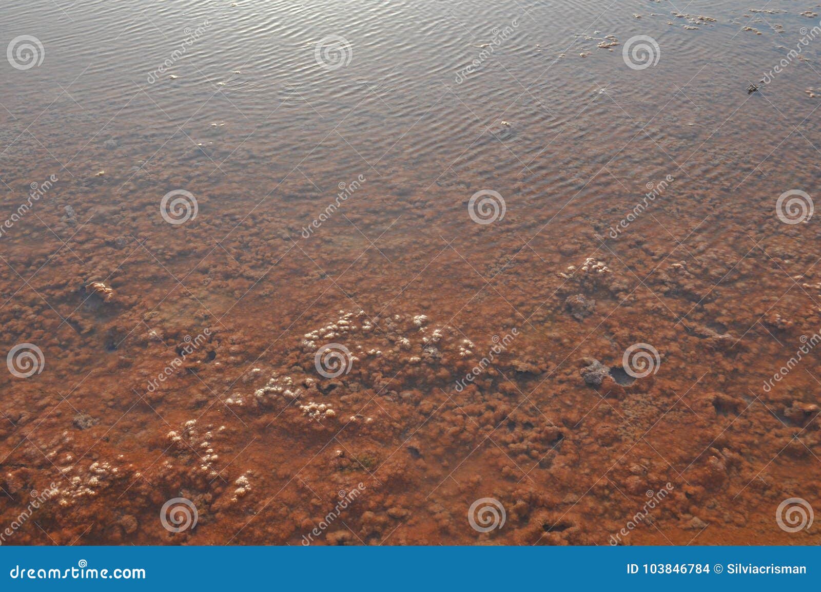Salino (planos De La Sal) En Marsala Foto de archivo - Imagen de ...