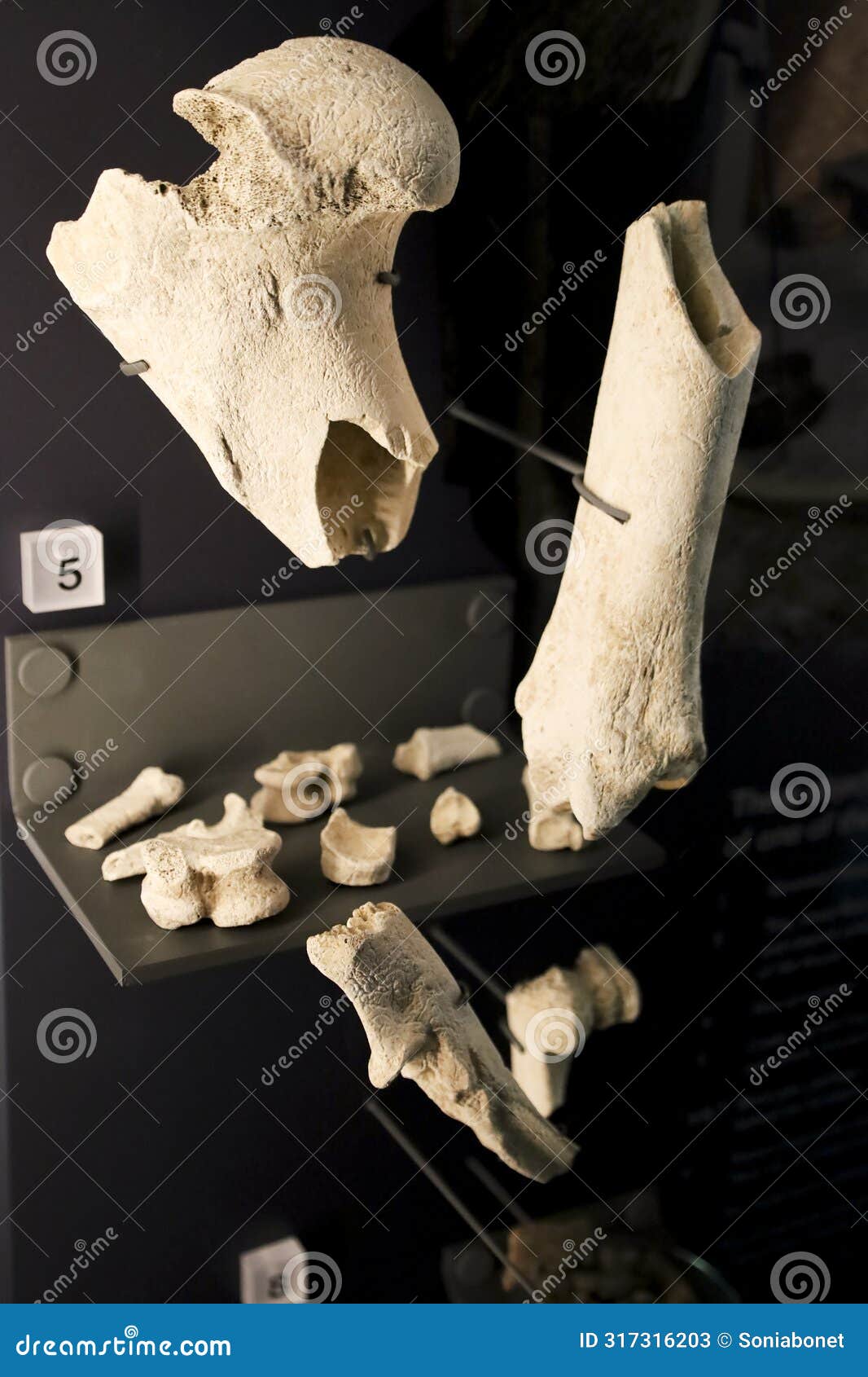 Prehistoric Objects, Tools and Bones Exhibited at the Visitor Center of ...