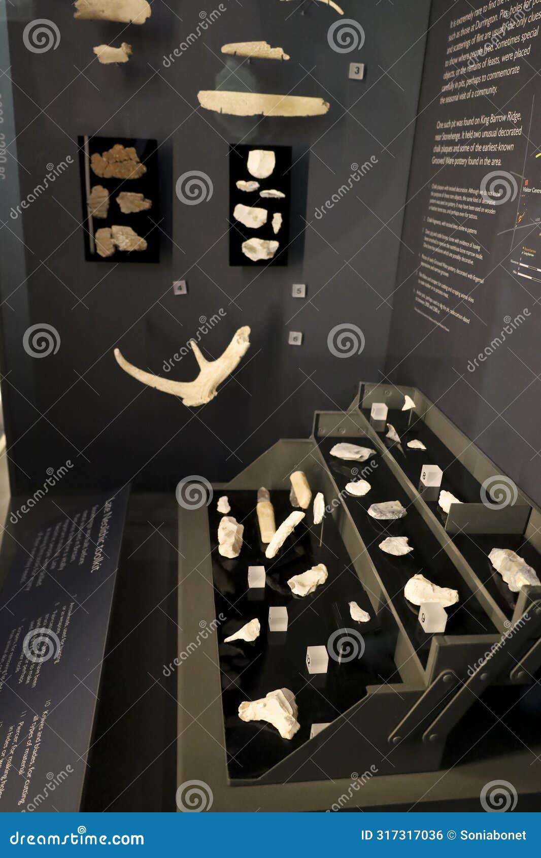 Prehistoric Objects, Tools and Bones Exhibited at the Visitor Center of ...