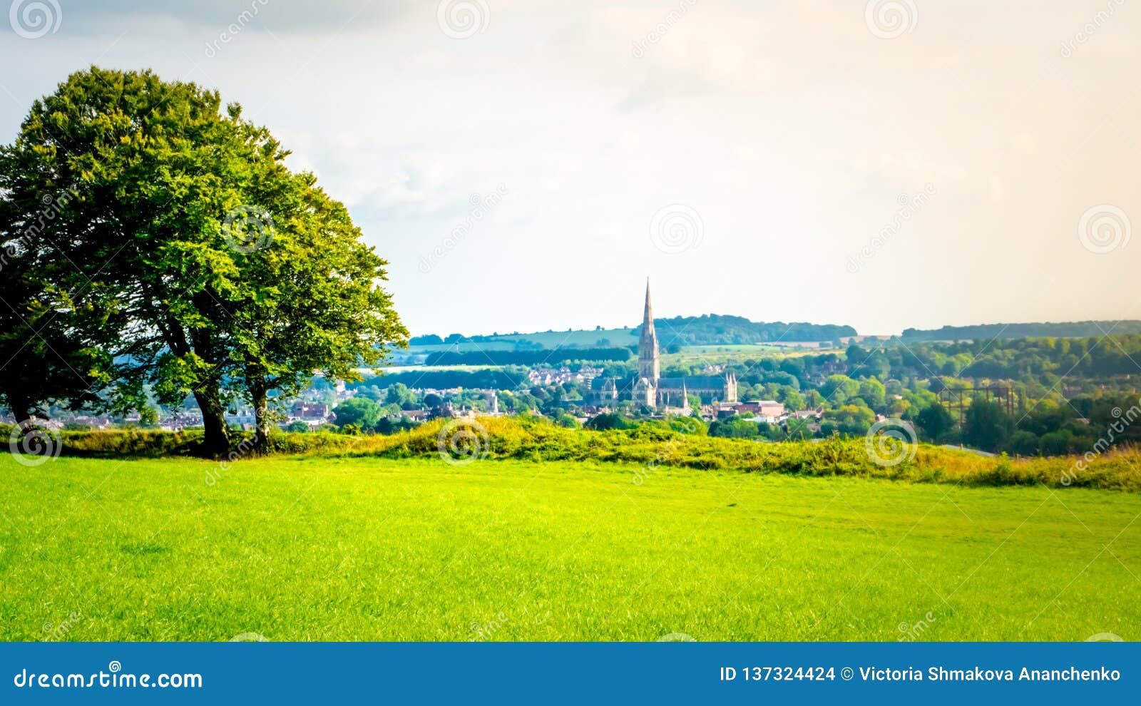 Cityscape of Salisbury with the Cathedral from the Old Sarum in ...