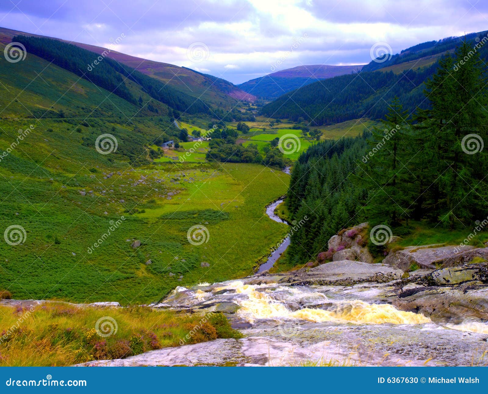 Sally Gap stock photo. Image of trees, field, rural, countryside - 6367630
