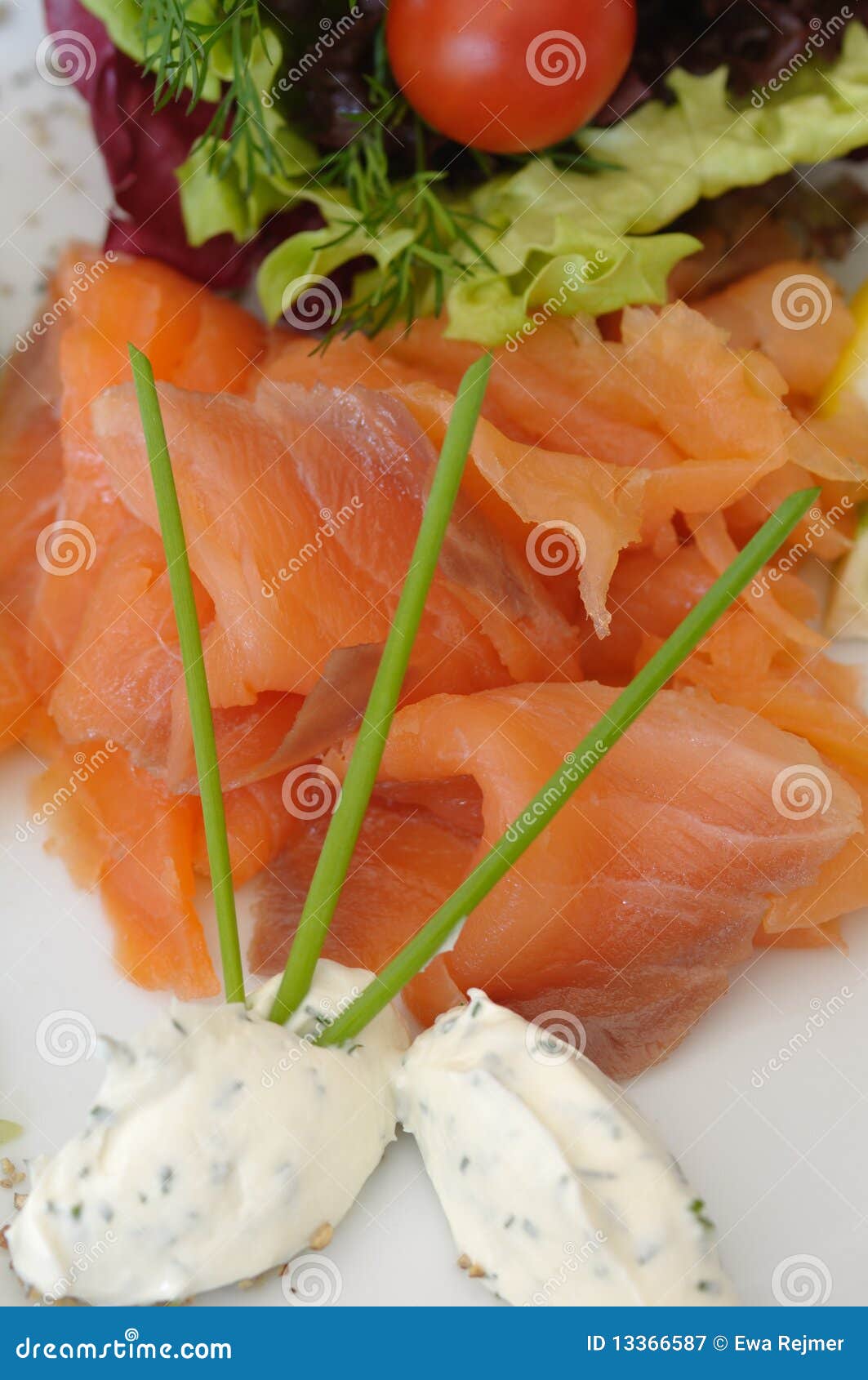 Salmon stock image. Image of recipe, plate, garnish, starter - 13366587