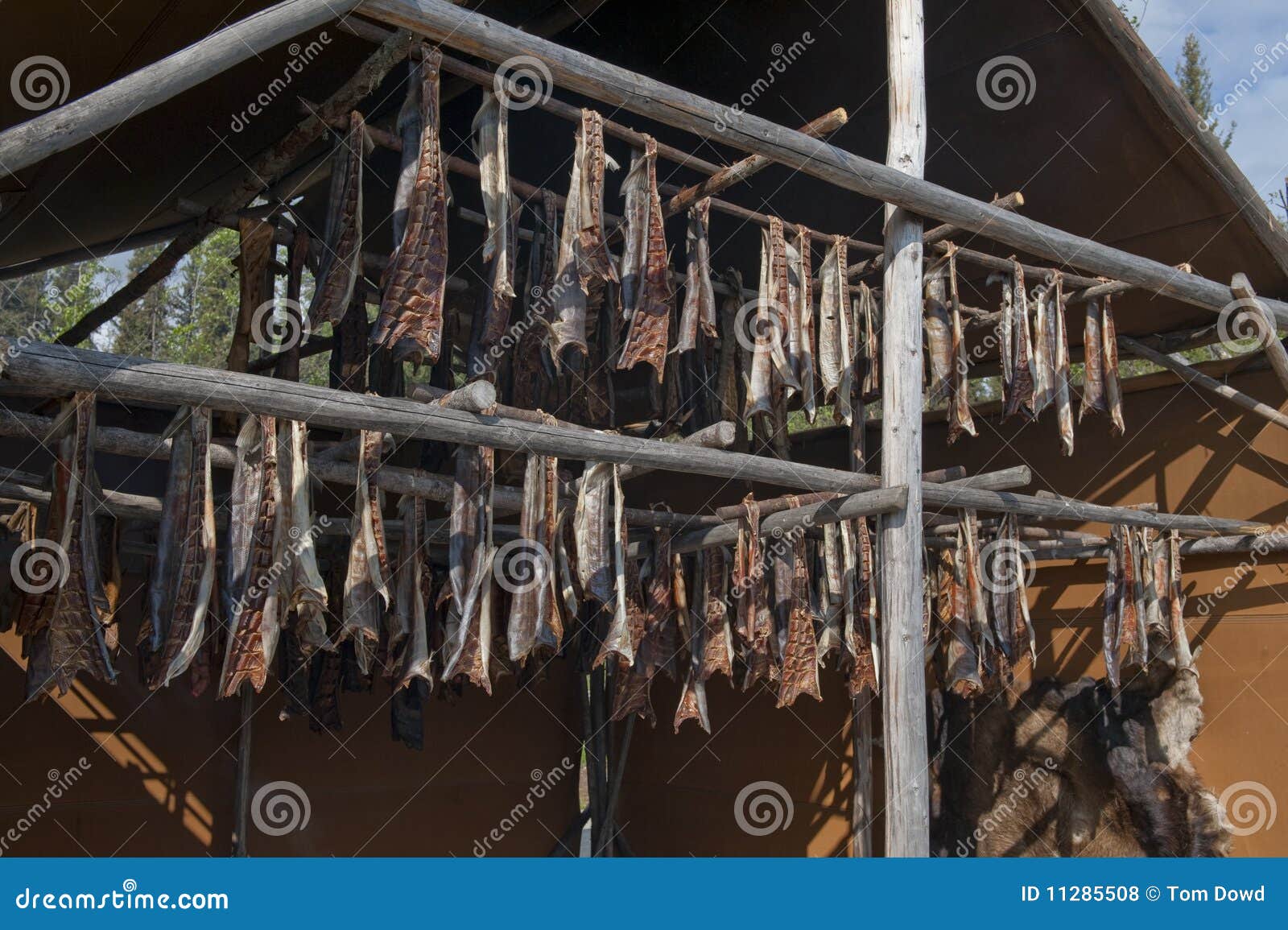 Salmon Being Smoked on Rack Stock Photo - Image of fillets, outdoor ...