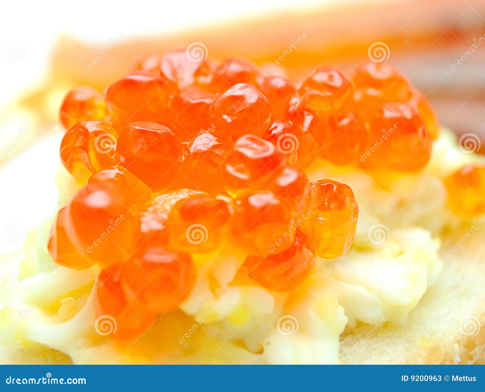 Salmon caviar stock image. Image of caviar, meat, salmon - 9200963