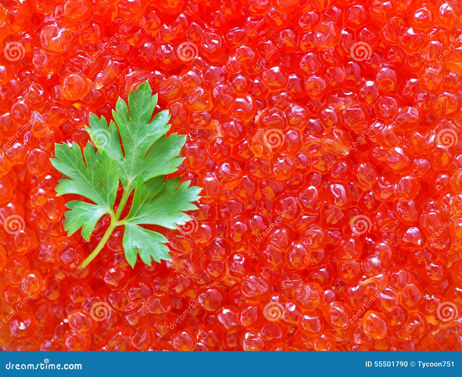Salmon caviar stock photo. Image of luxury, eating, healthy - 55501790