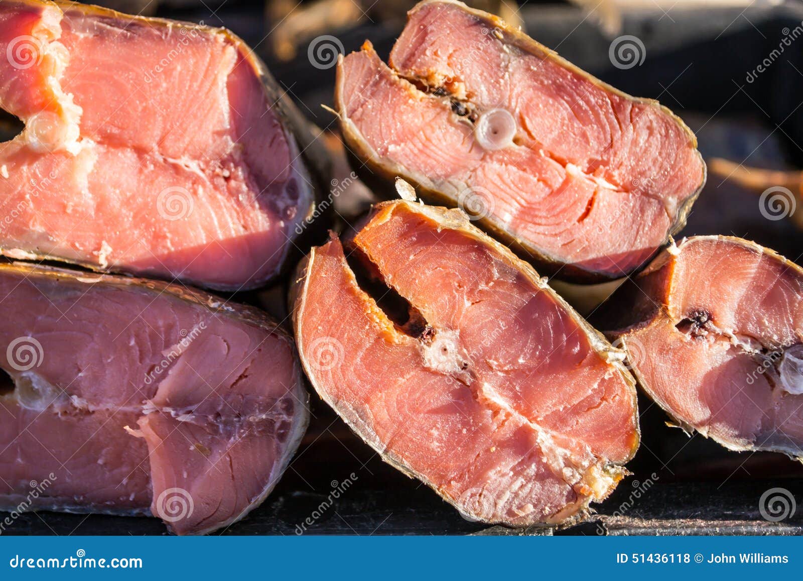 Salmon Chunks stock photo. Image of salmon, uncooked - 51436118