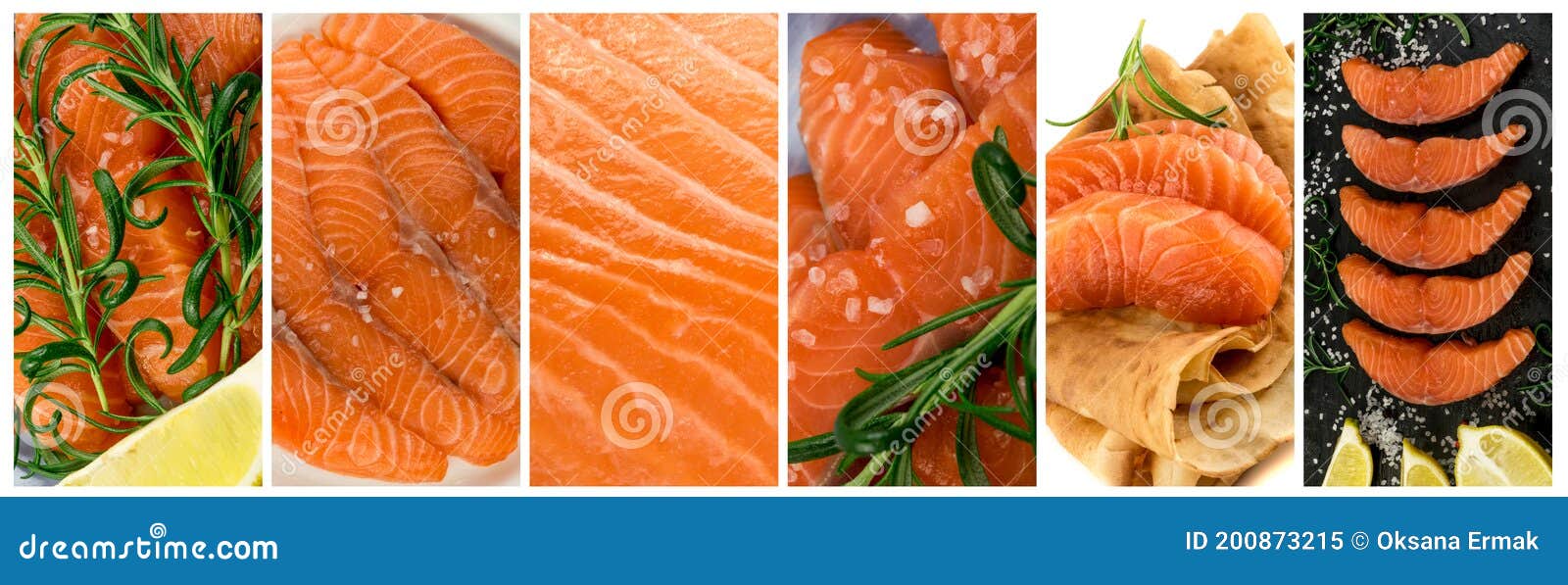 Salmon Collage, Various Red Trout Collection, Different Raw Fish Stock ...