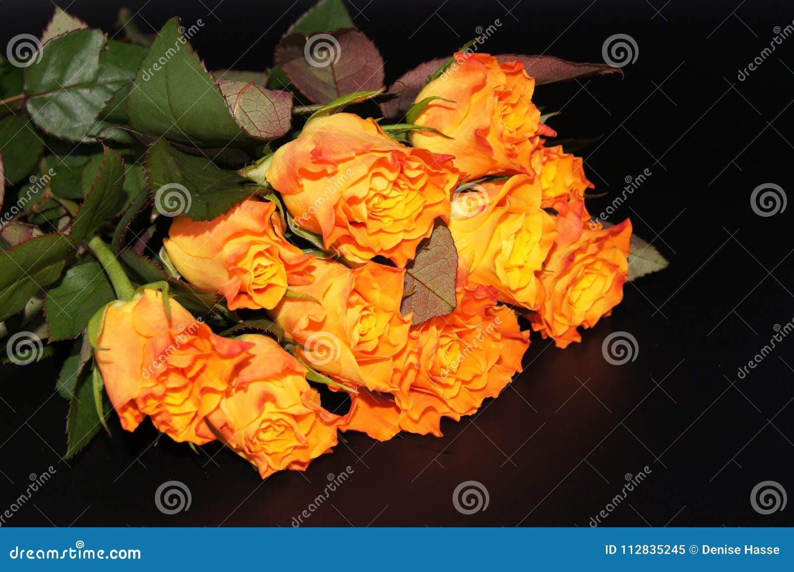 Salmon-colored Roses Released Stock Image - Image of romantic ...