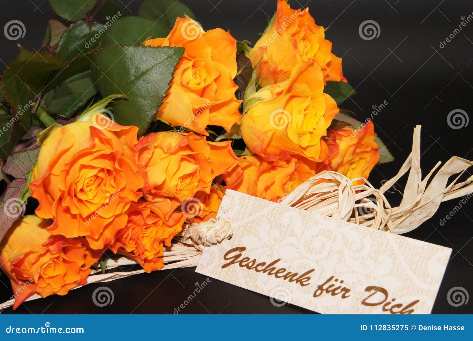 Salmon-colored Roses Released Stock Image - Image of decoration ...