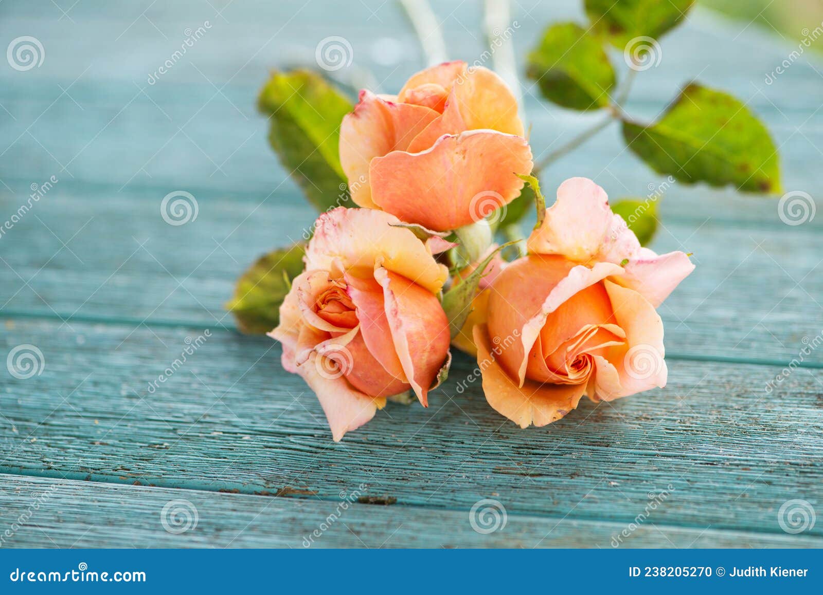 Salmon-colored Roses on Wooden Background Stock Photo - Image of vase ...