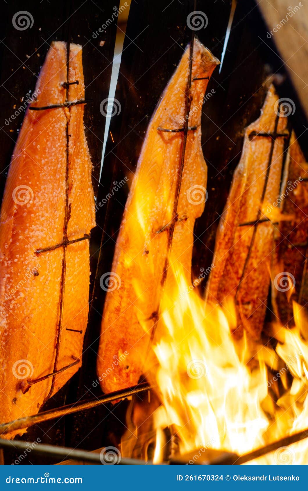 Salmon Cooking Over a Open Fire Stock Photo - Image of cook, health ...
