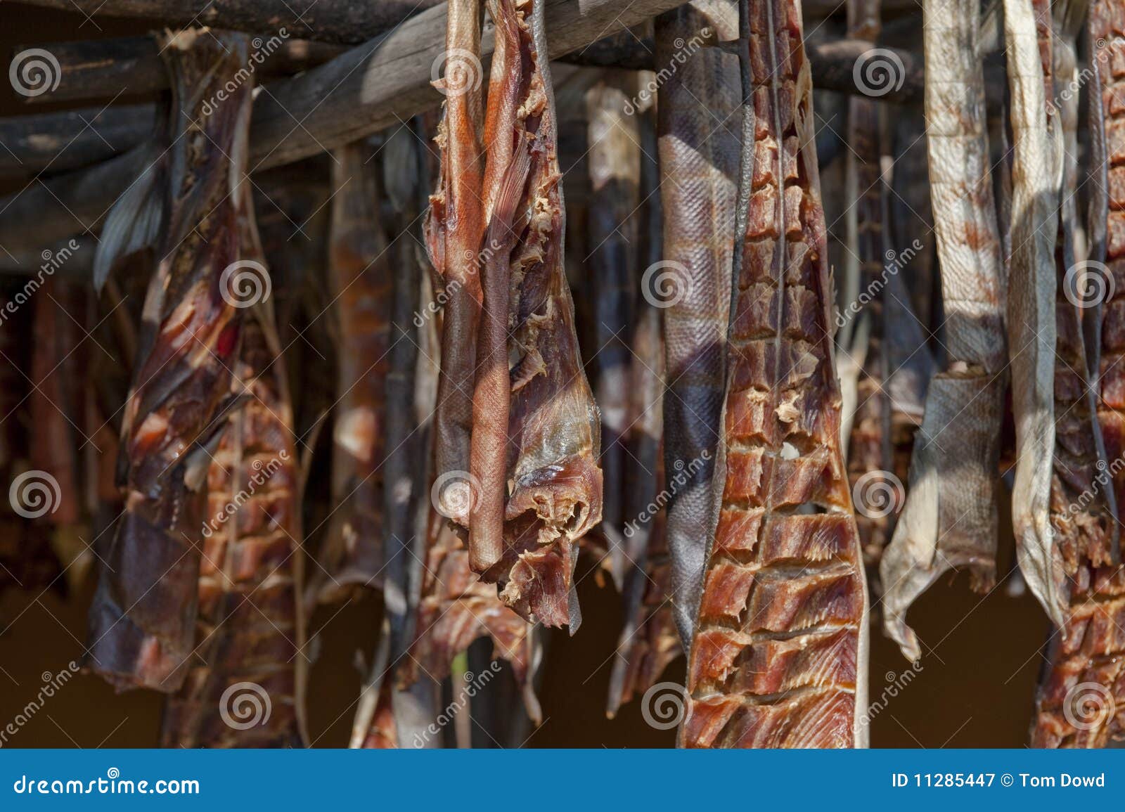 Salmon Curing in Smoke House Stock Image - Image of fish, tradition ...