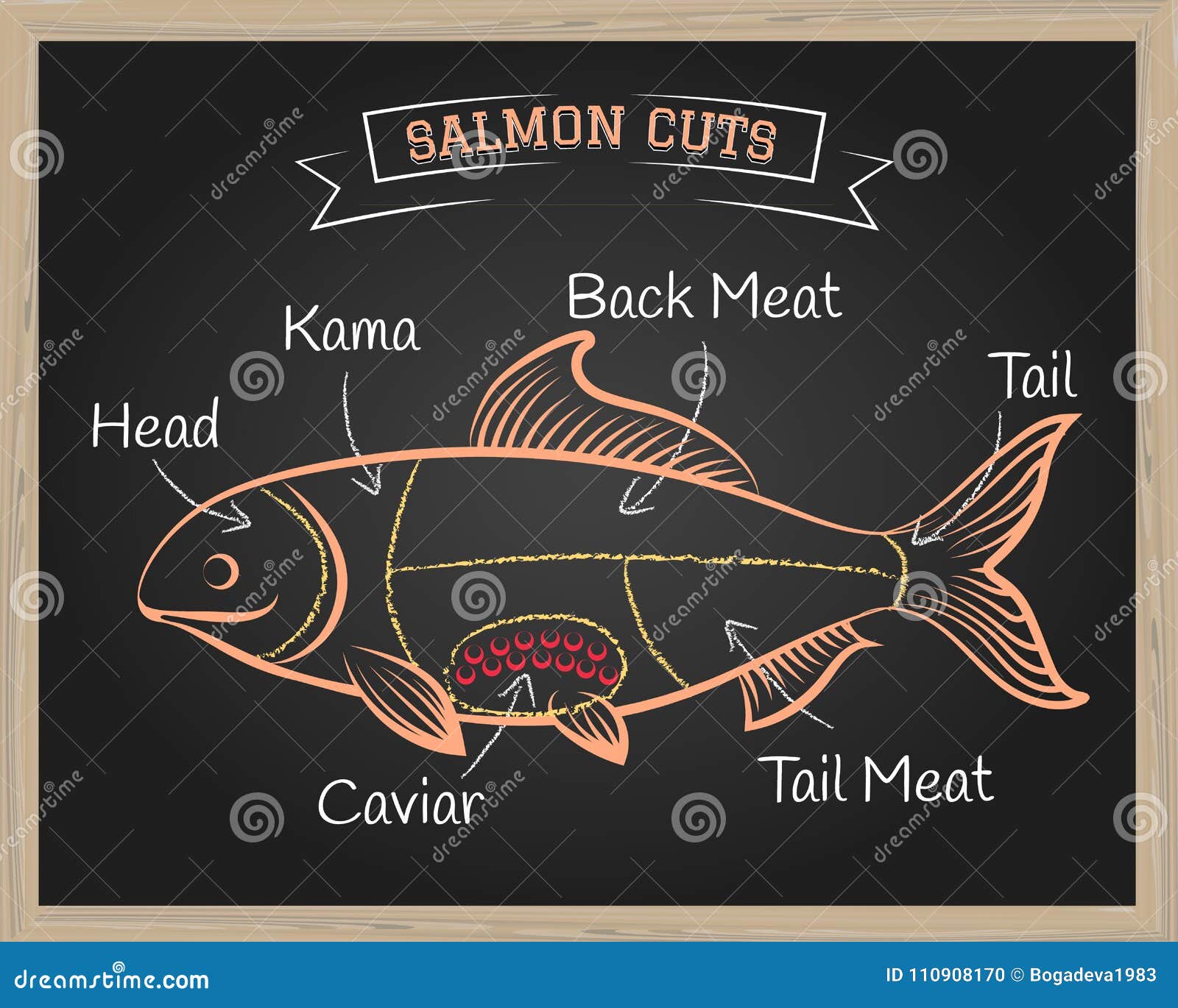 Salmon Cuts Illustration stock illustration. Illustration of standing ...
