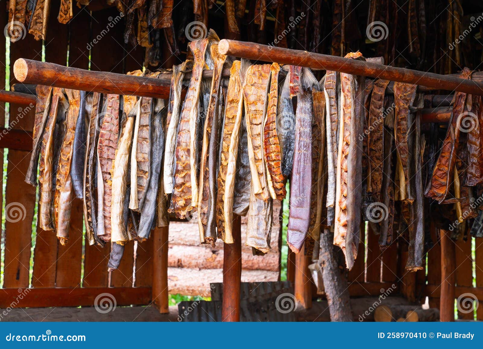 Salmon Drying in a Smoke House in Alaska Stock Photo - Image of fillet ...