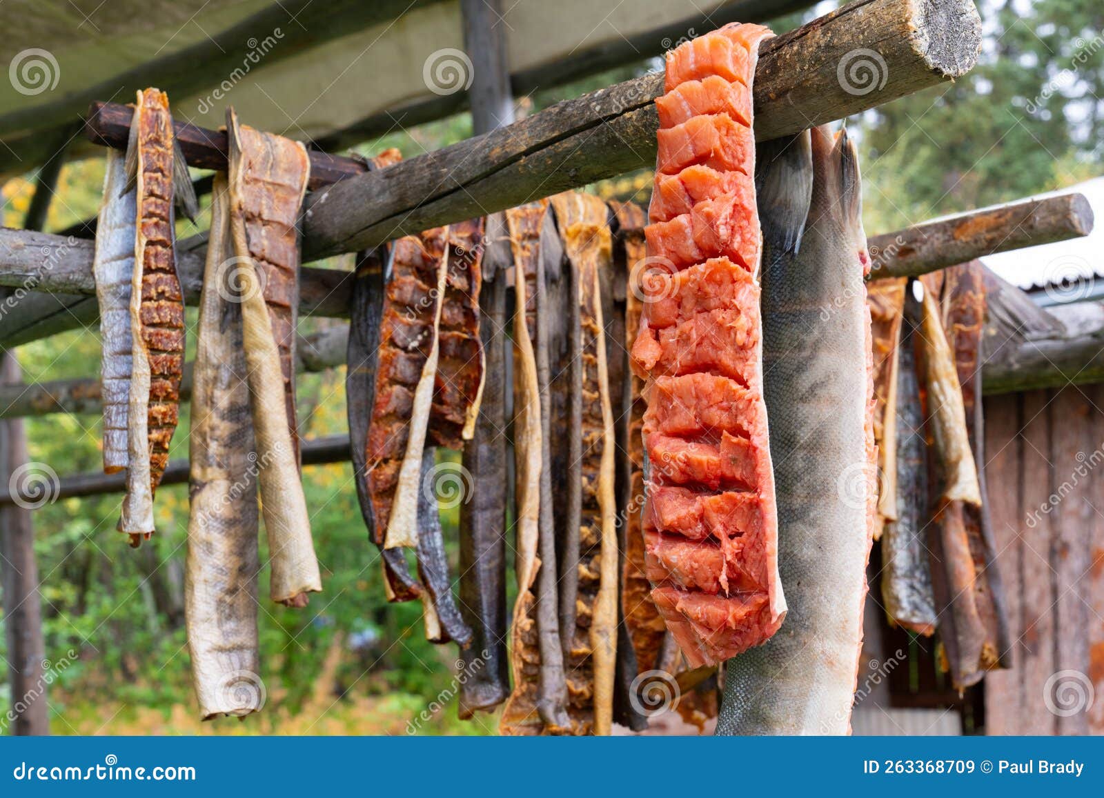 Salmon Drying in a Smoke House in Alaska Stock Image - Image of rack ...