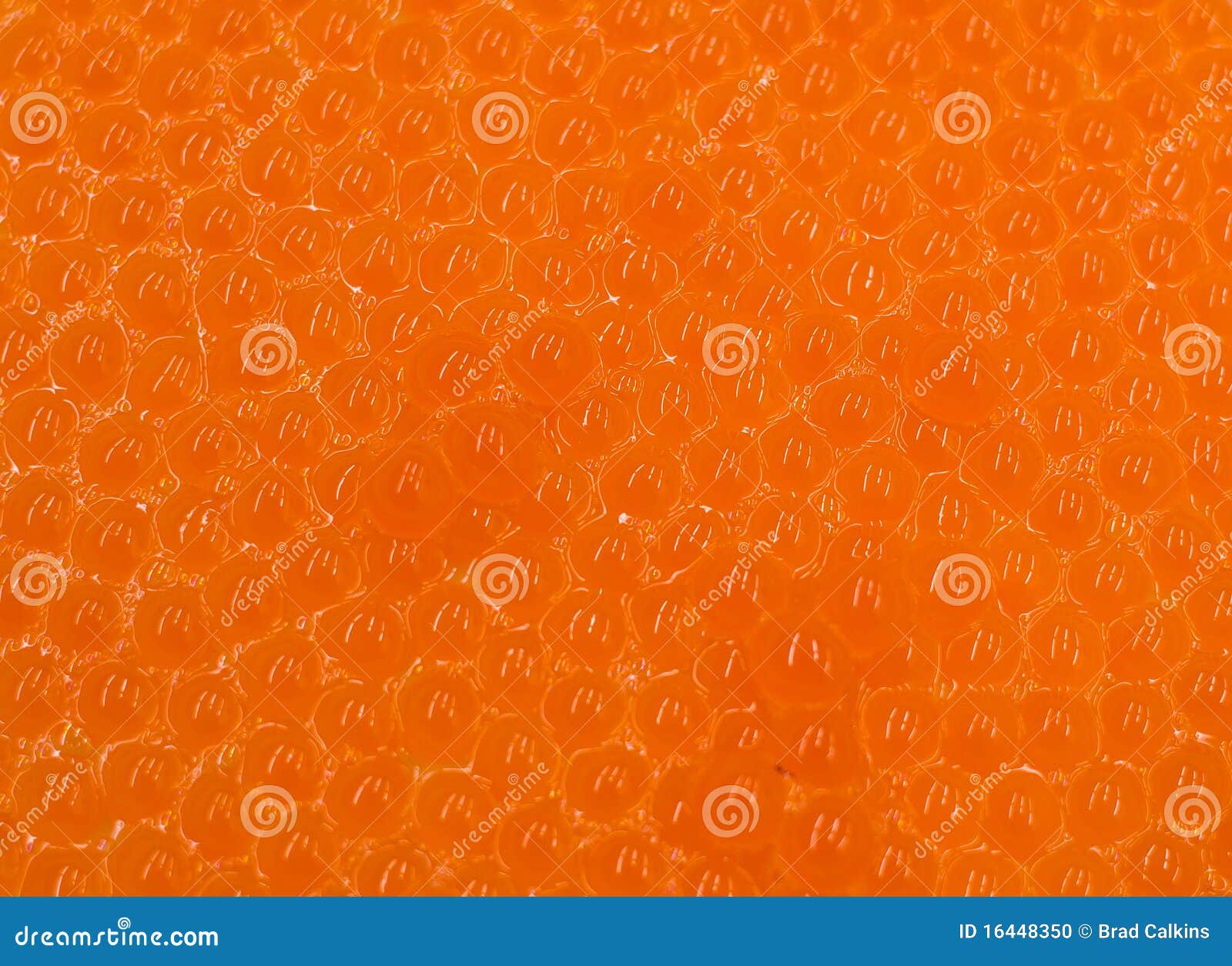 Salmon eggs stock photo. Image of hatchery, abstract - 16448350