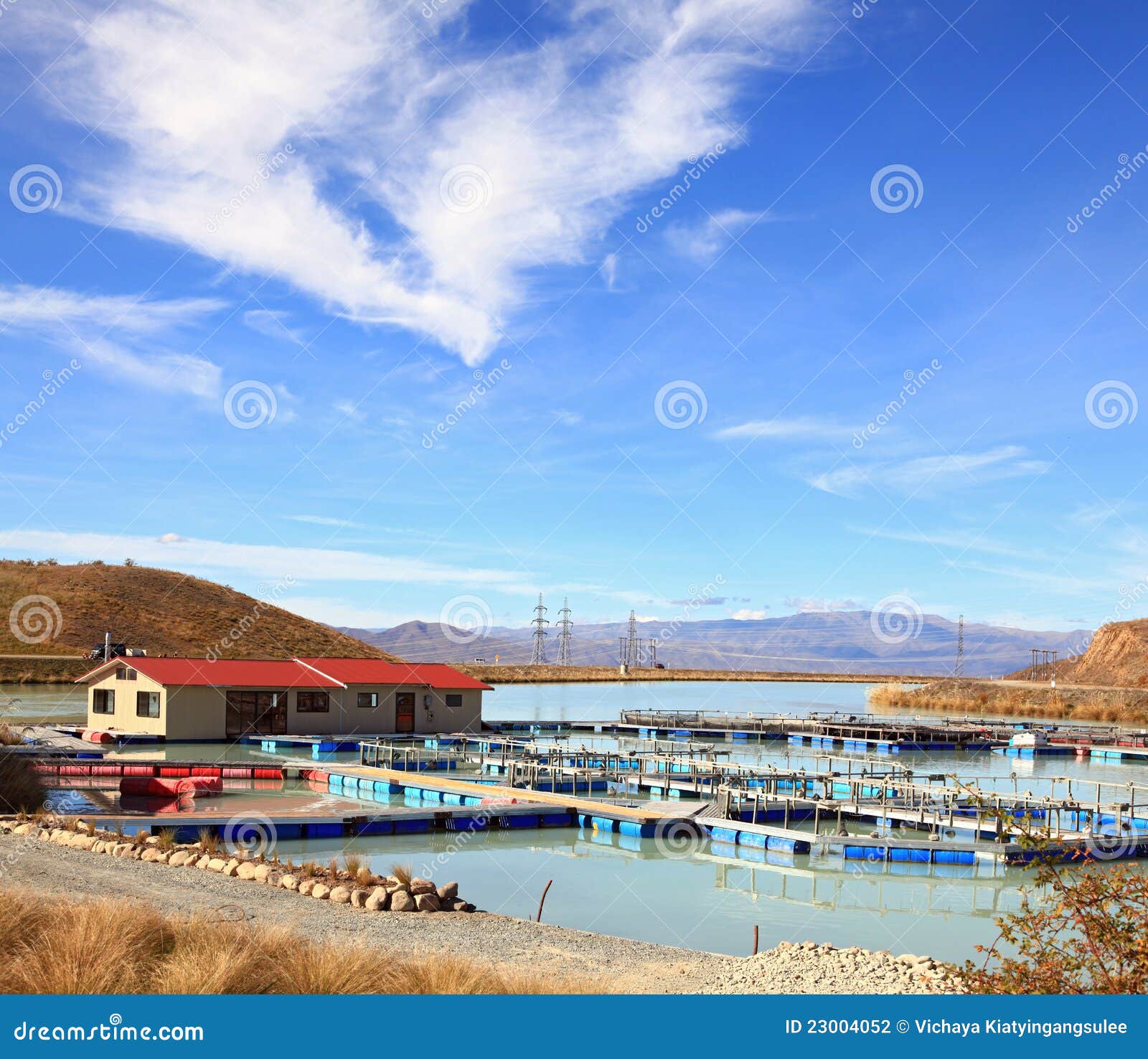 Salmon Farm stock photo. Image of tranquil, farm, nature - 23004052