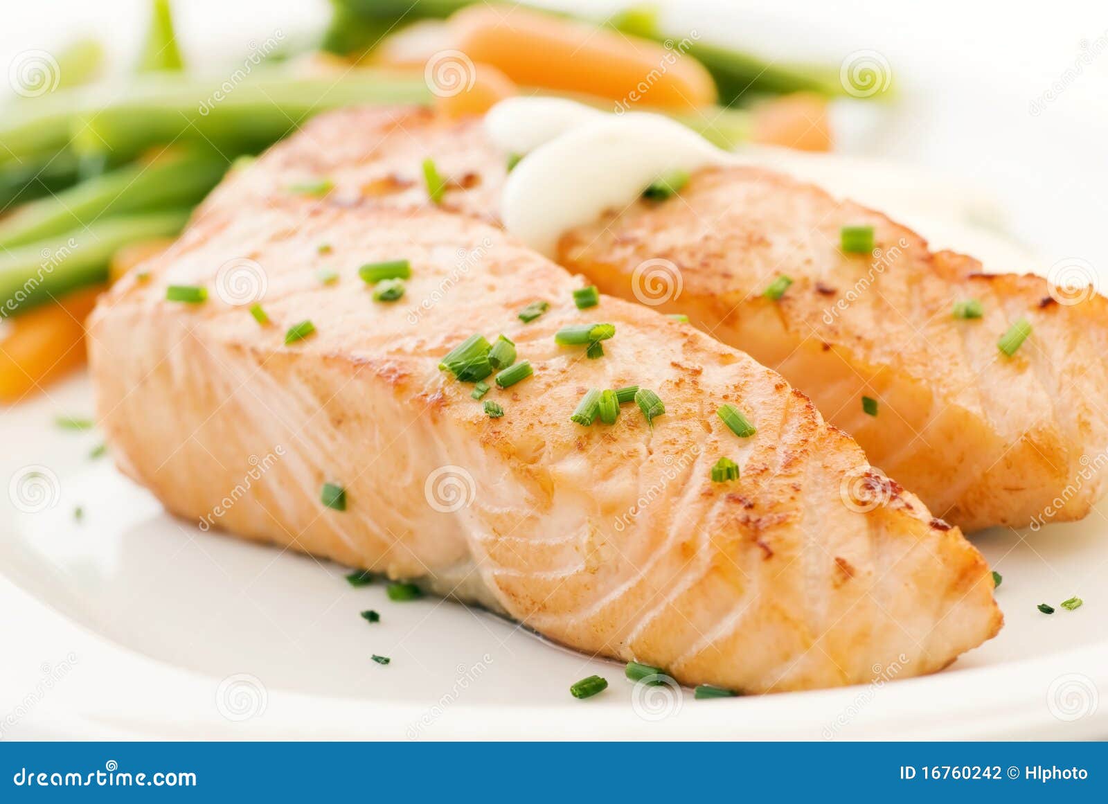 Salmon filet stock photo. Image of piece, salmon, closeup - 16760242